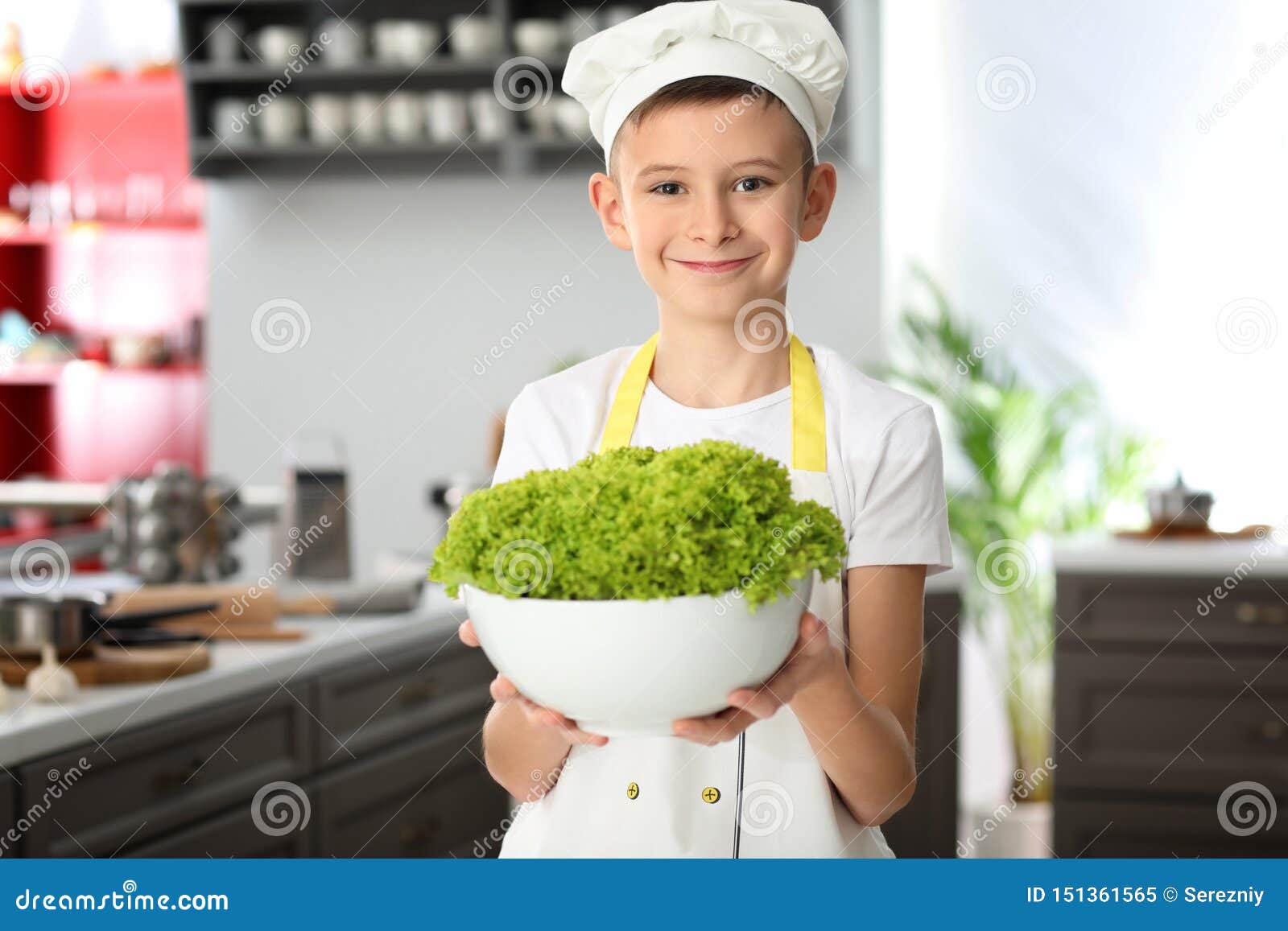 Cute Little Chef with Salad in Kitchen Stock Image - Image of ...