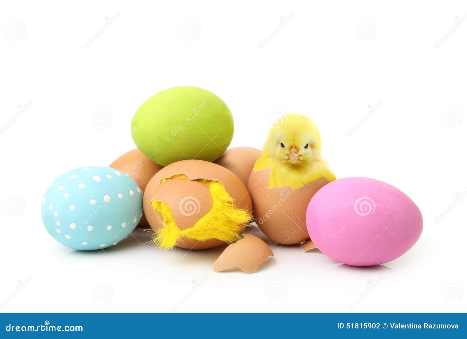 Cute Little Chicken and Eggs Stock Photo - Image of baby, background ...