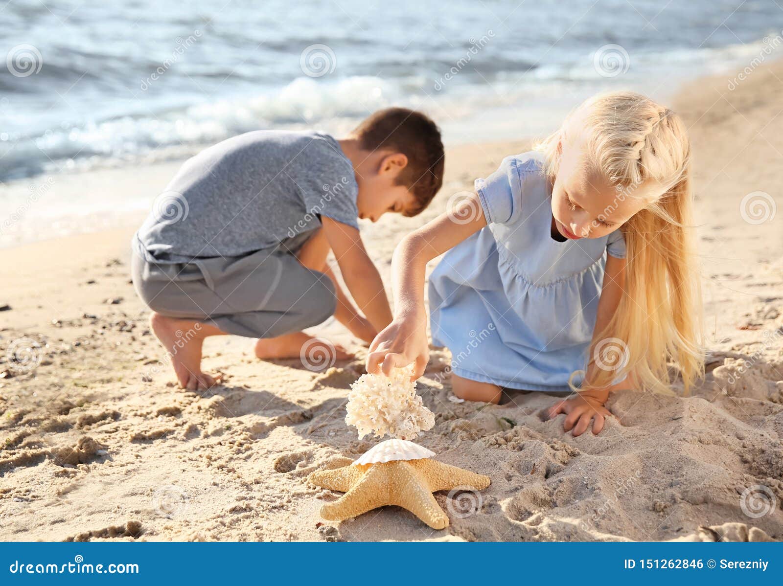 Cute Little Children Gathering Sea Shells on Beach Stock Photo - Image ...