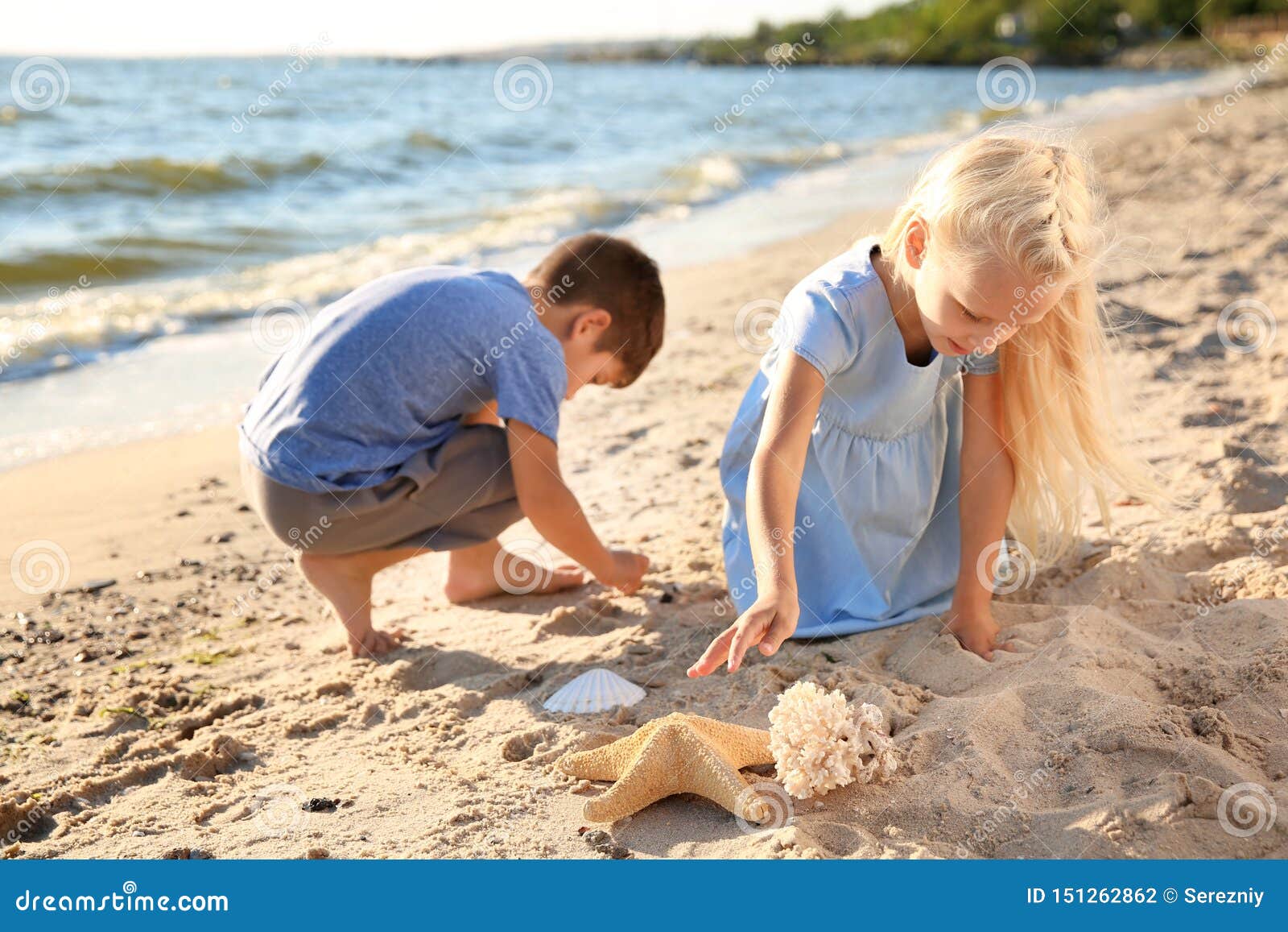 Cute Little Children Gathering Sea Shells on Beach Stock Photo - Image ...