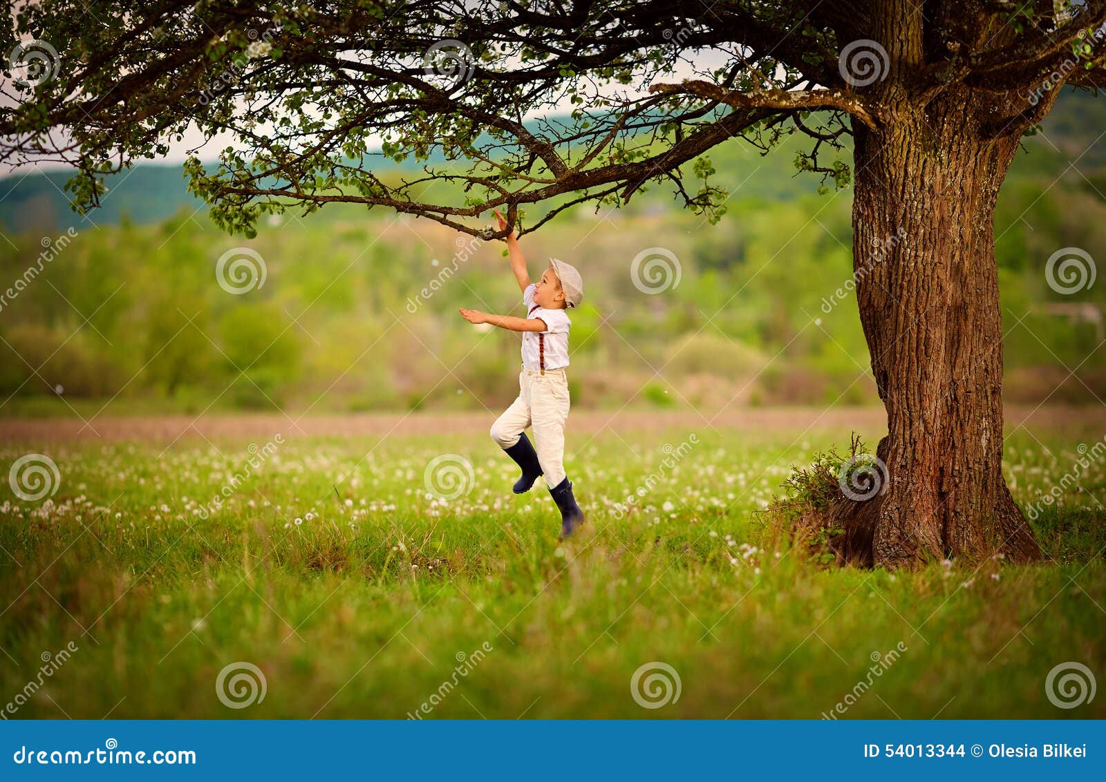 Cute Little Farmer Boy Playing Under an Old Tree Stock Photo - Image of ...