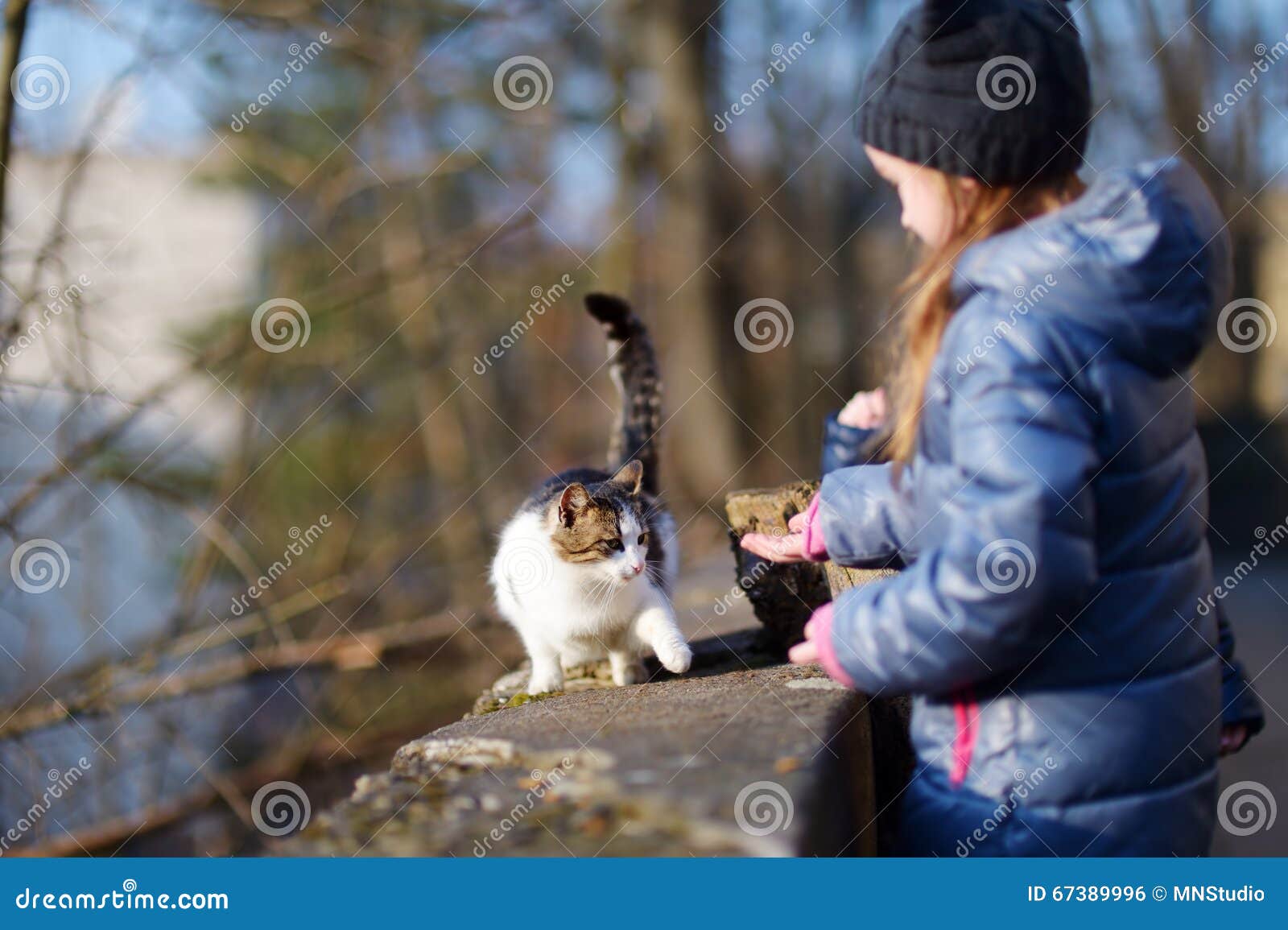 Cute Little Girl Met a Cat Outdoors Stock Photo - Image of care ...