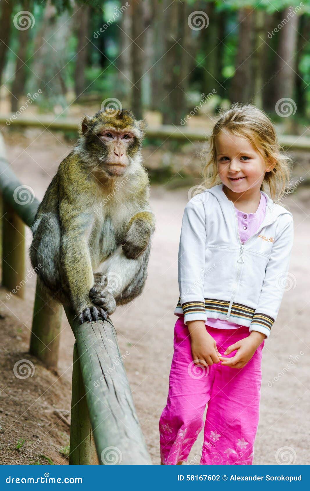 Cute Little Girl with Monkey Stock Photo - Image of mountain, girl ...