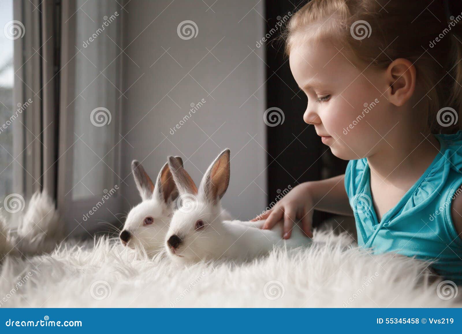 Cute Little Girl Playing with White Rabbits Stock Photo - Image of ...