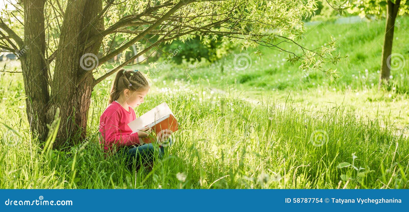 Girl Read On Tree