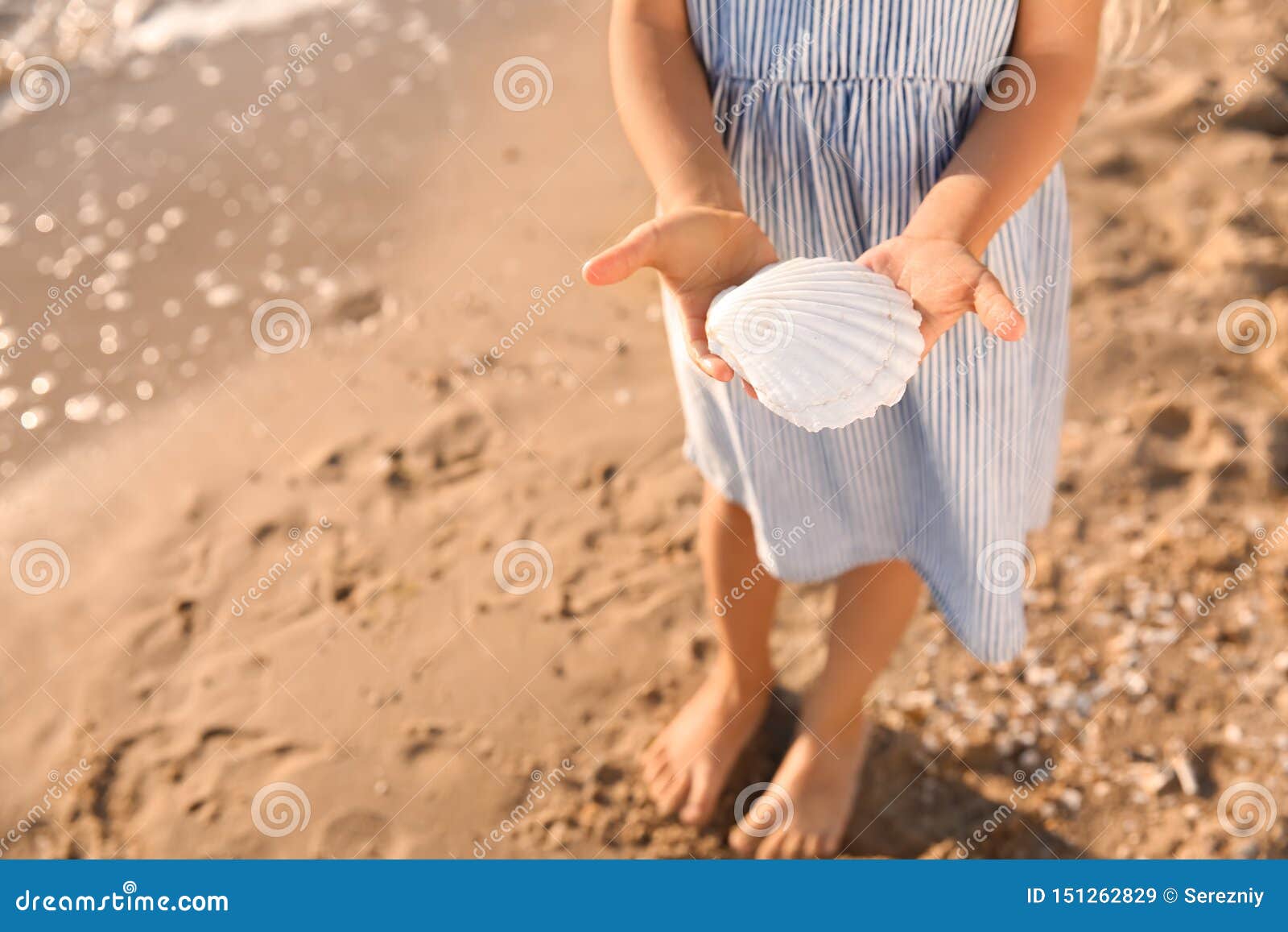 Cute Little Girl with Sea Shell on Beach Stock Image - Image of ...