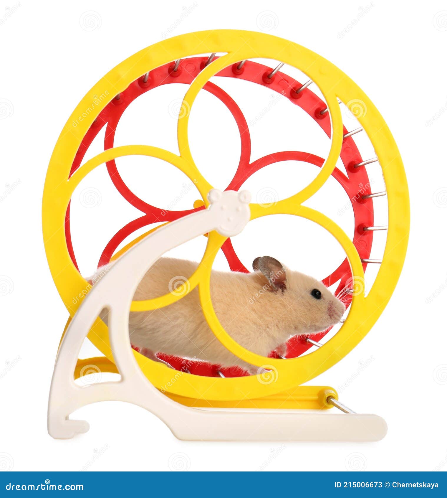 Cute Little Hamster in Spinning Wheel on White Background Stock Image ...