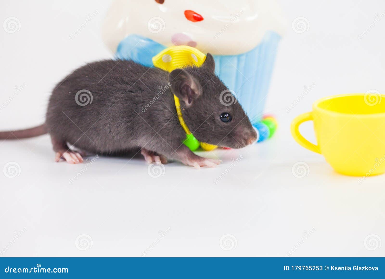 Cute Little Mouse with a Yellow Bow. Pretty Stock Image - Image of long ...