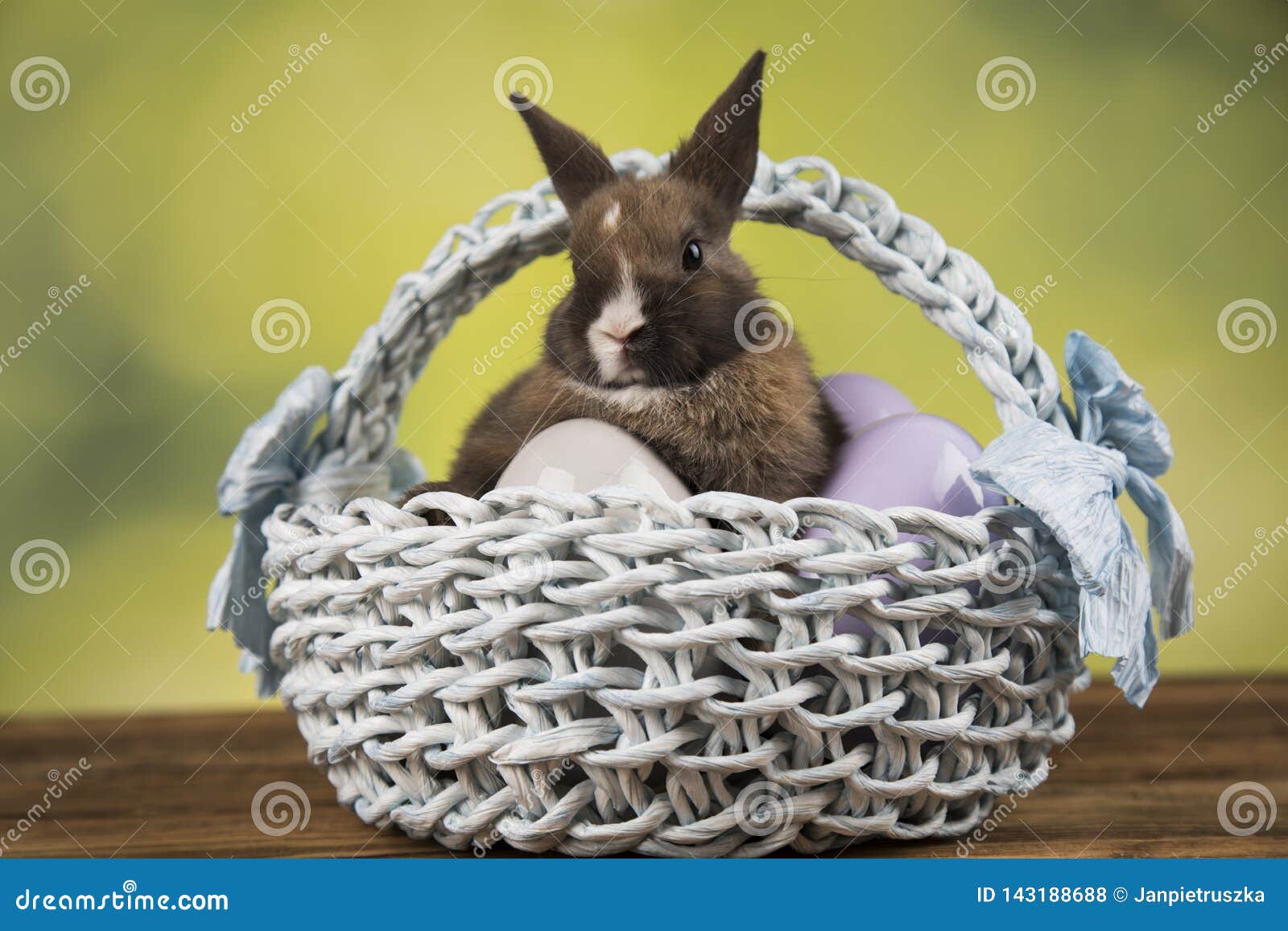 Cute Little Rabbit with Basket Background Stock Photo - Image of baby ...