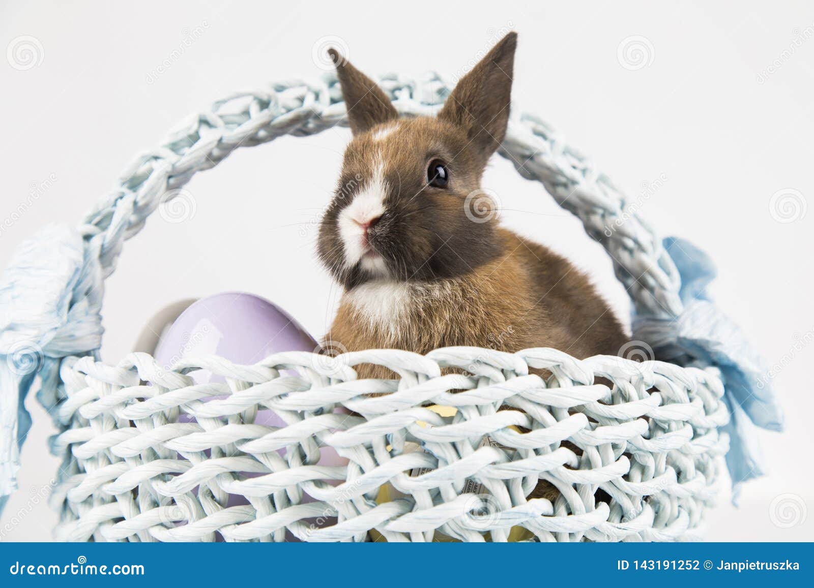 Cute Little Rabbit with Basket Background Stock Photo - Image of ears ...