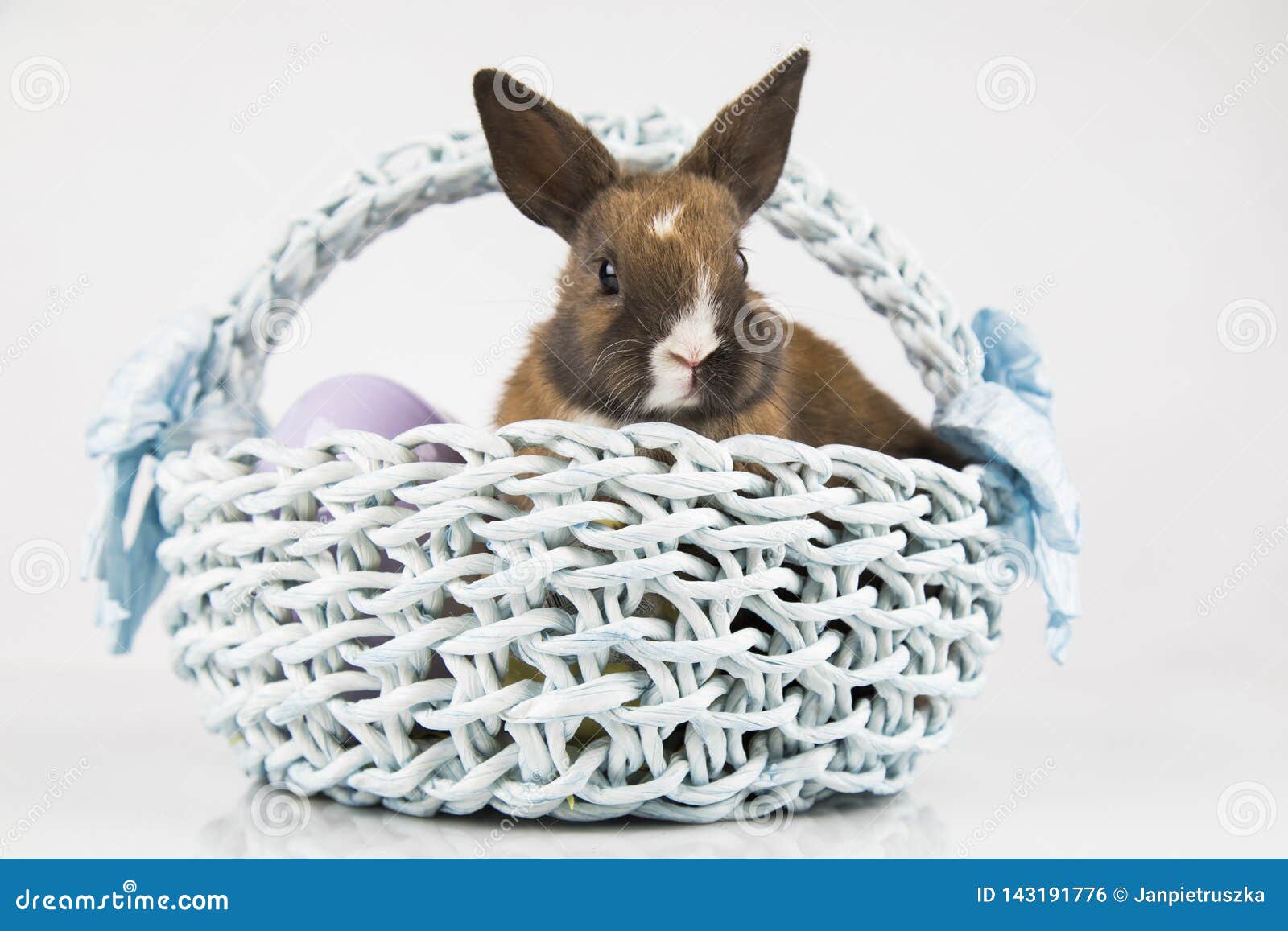 Cute Little Rabbit with Basket Background Stock Photo - Image of bunny ...