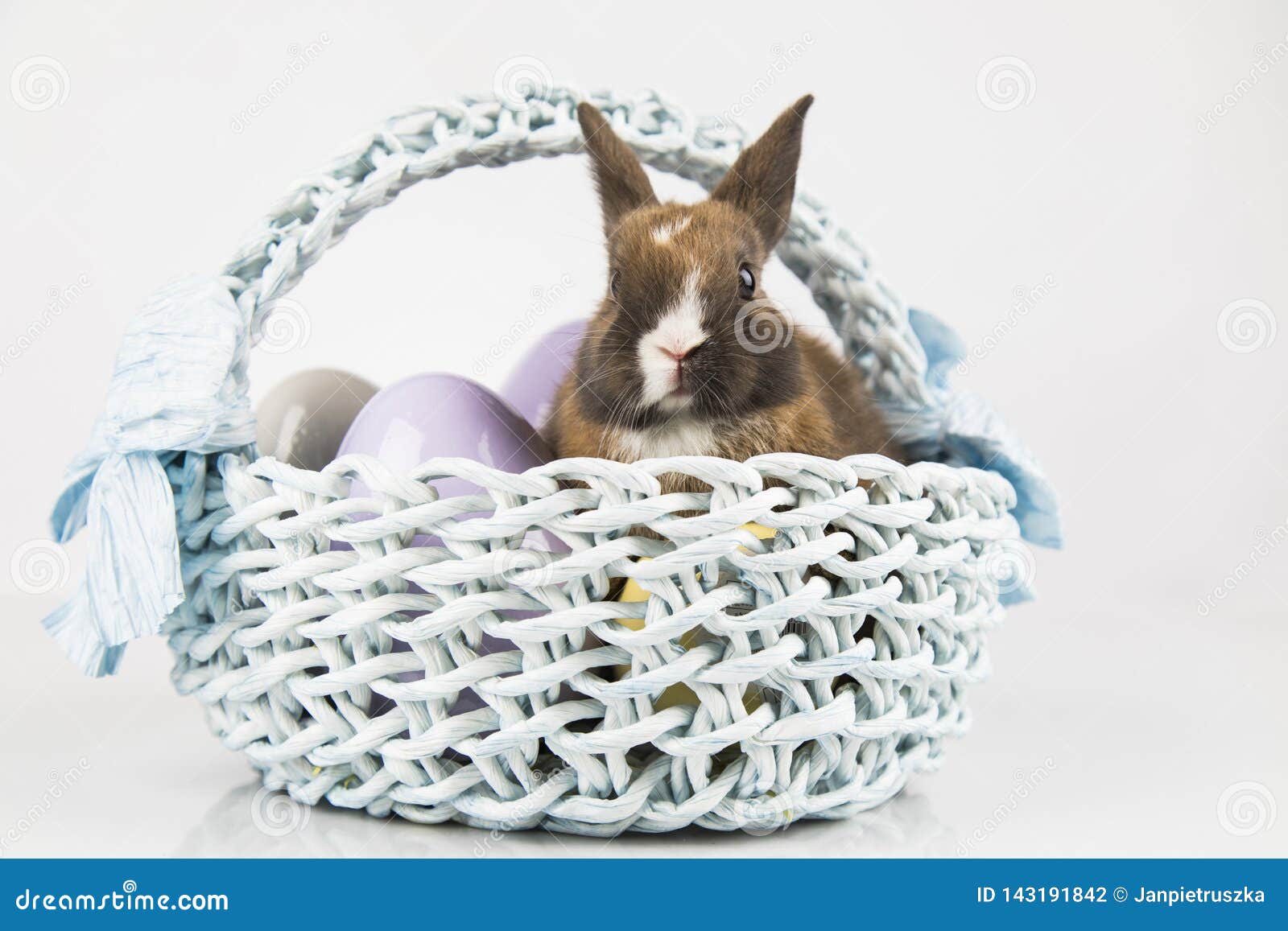 Cute Little Rabbit with Basket Background Stock Photo - Image of april ...