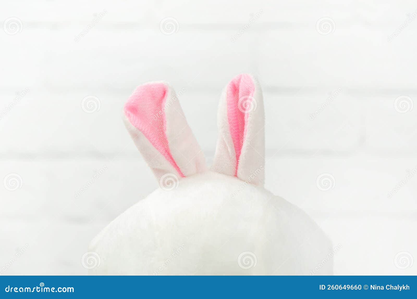 Cute Little Rabbit Ears Close Up. Head of Hare Peeks Out in Foreground ...