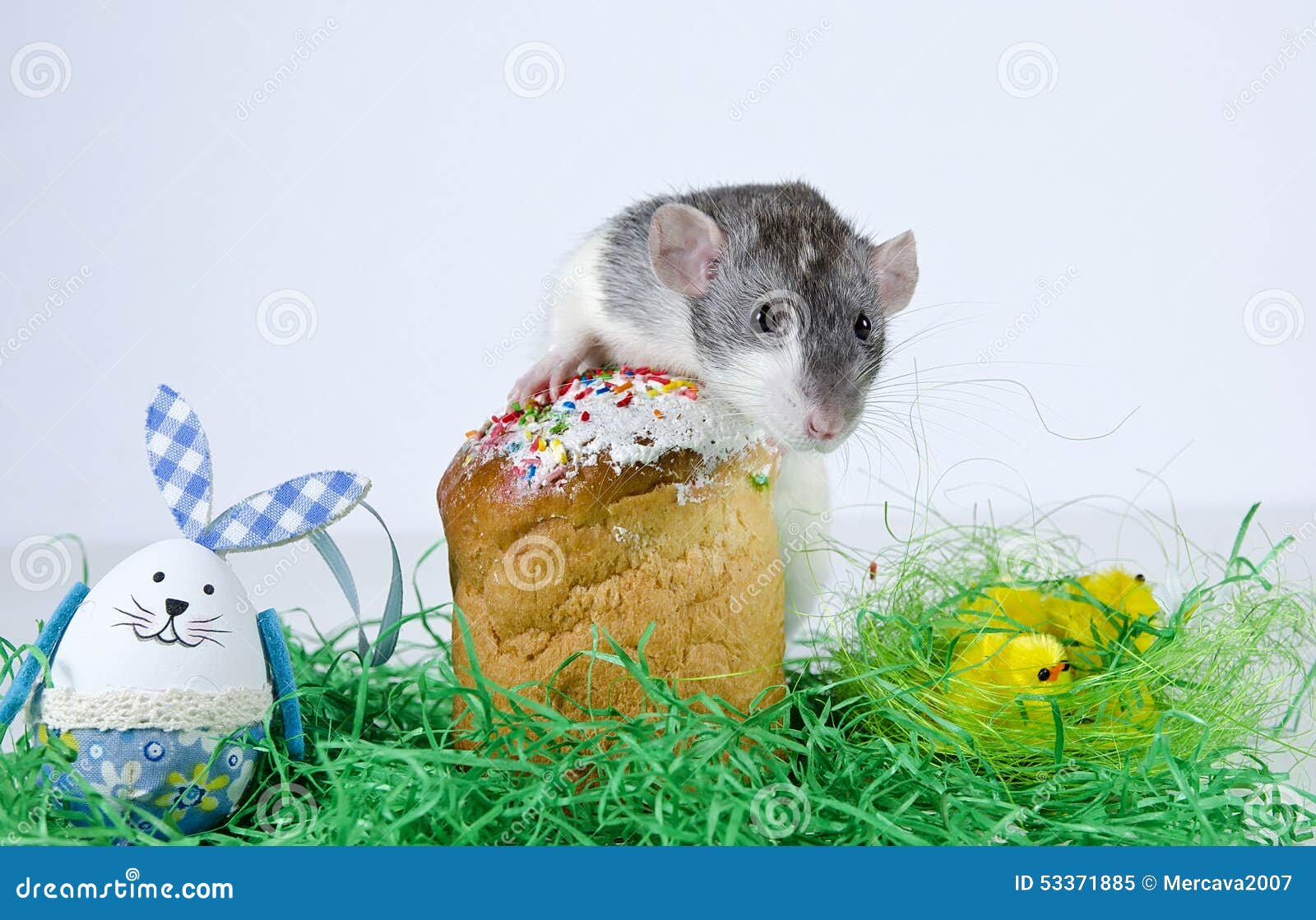 Cute little rat. stock image. Image of cake, food, celebrations - 53371885