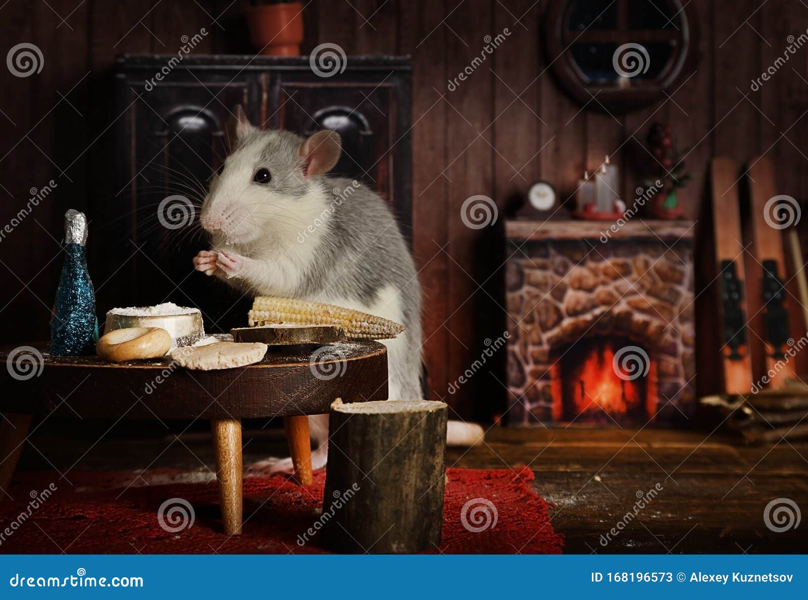 Cute Little Rat is Having Dinner at the Table Stock Image - Image of ...