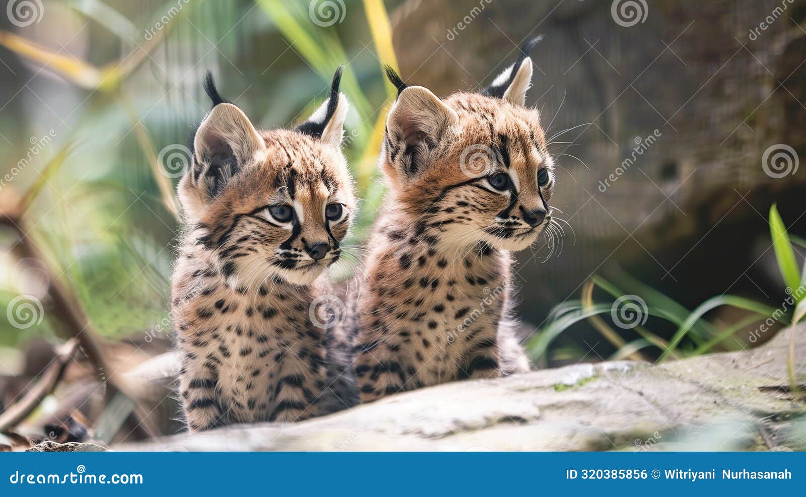 Cute Little Wild Predators in Natural Environment. Generative Ai Stock ...