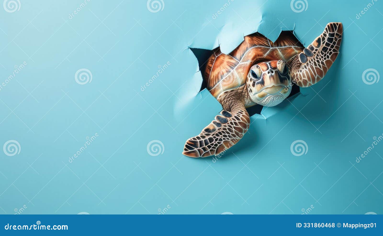 Cute Loggerhead Turtle Peeking through a Hole Stock Illustration ...