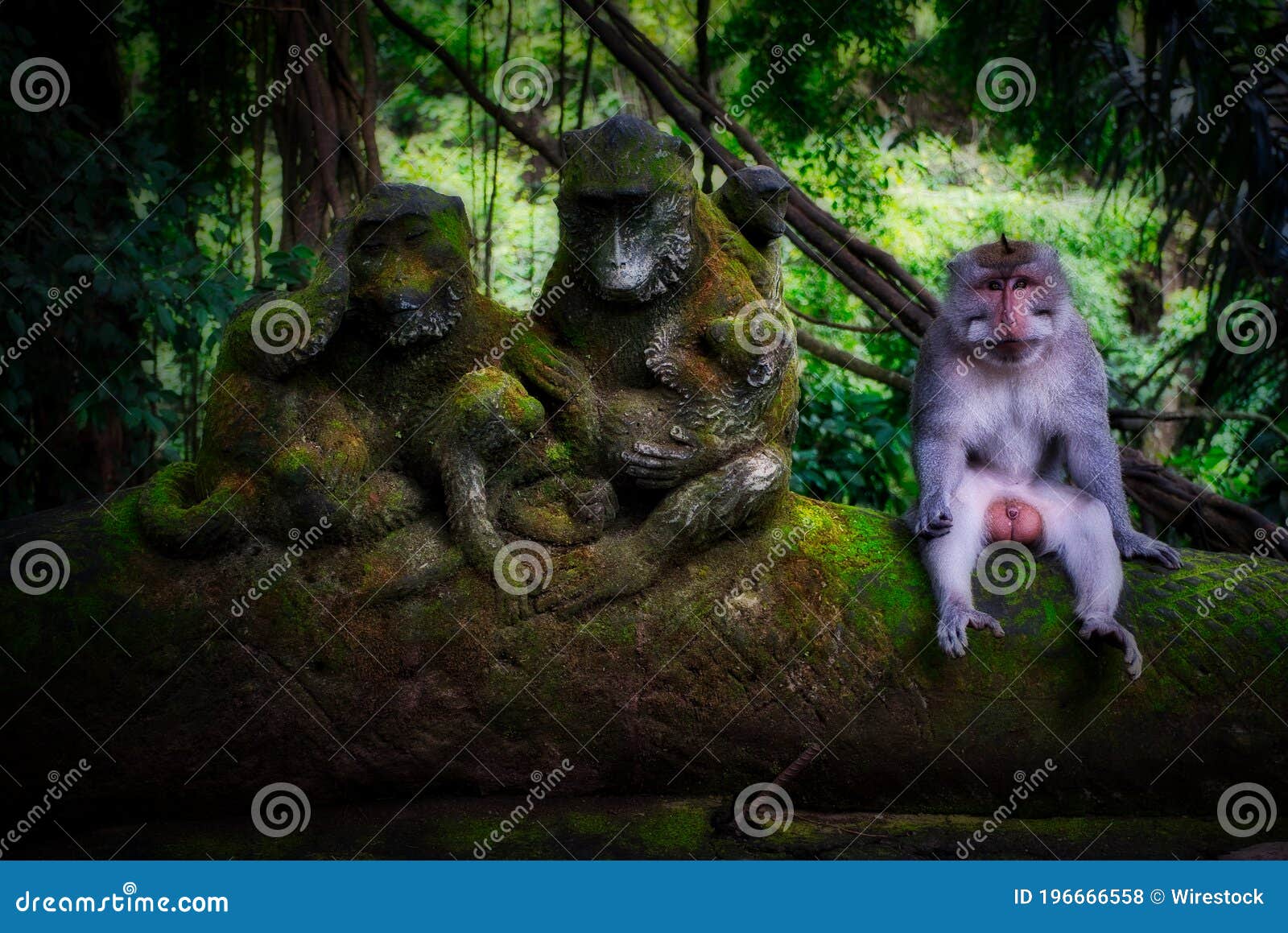 Cute Macaque Monkey Sitting Near the Monkey Statues Stock Photo - Image ...