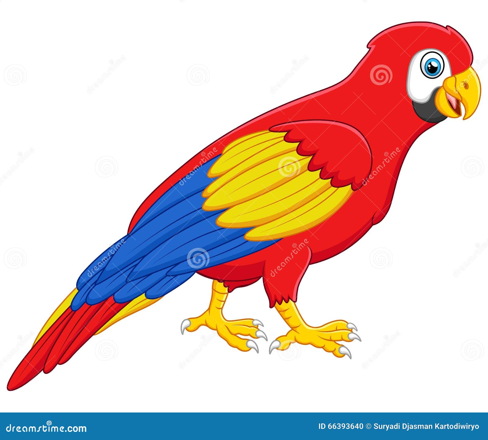 Cute Macaw Bird Cartoon Posing Stock Vector - Illustration of posing ...