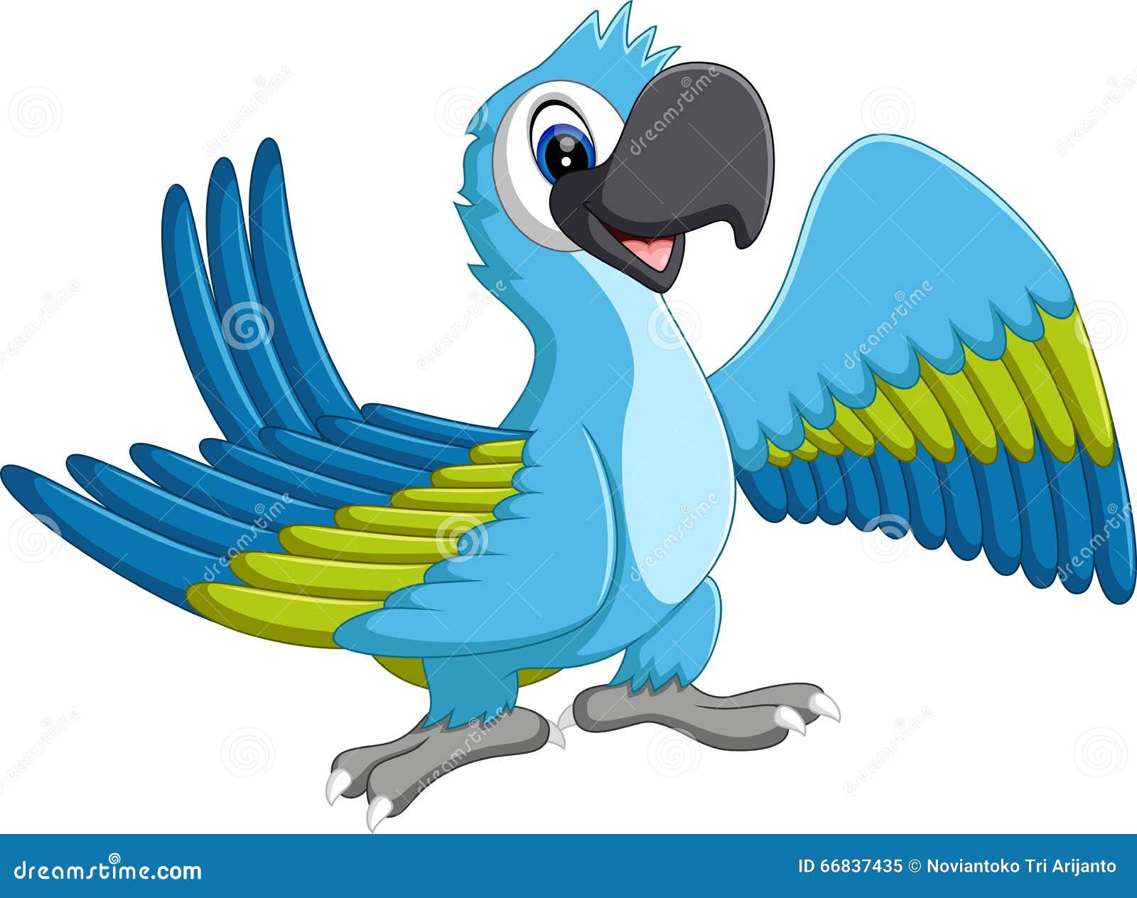 Cute macaw cartoon stock vector. Illustration of cheerful - 66837435