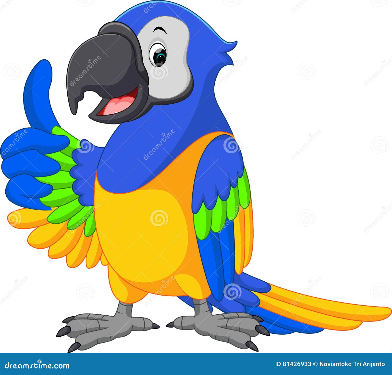 Cute macaw cartoon stock vector. Illustration of adorable - 81426933