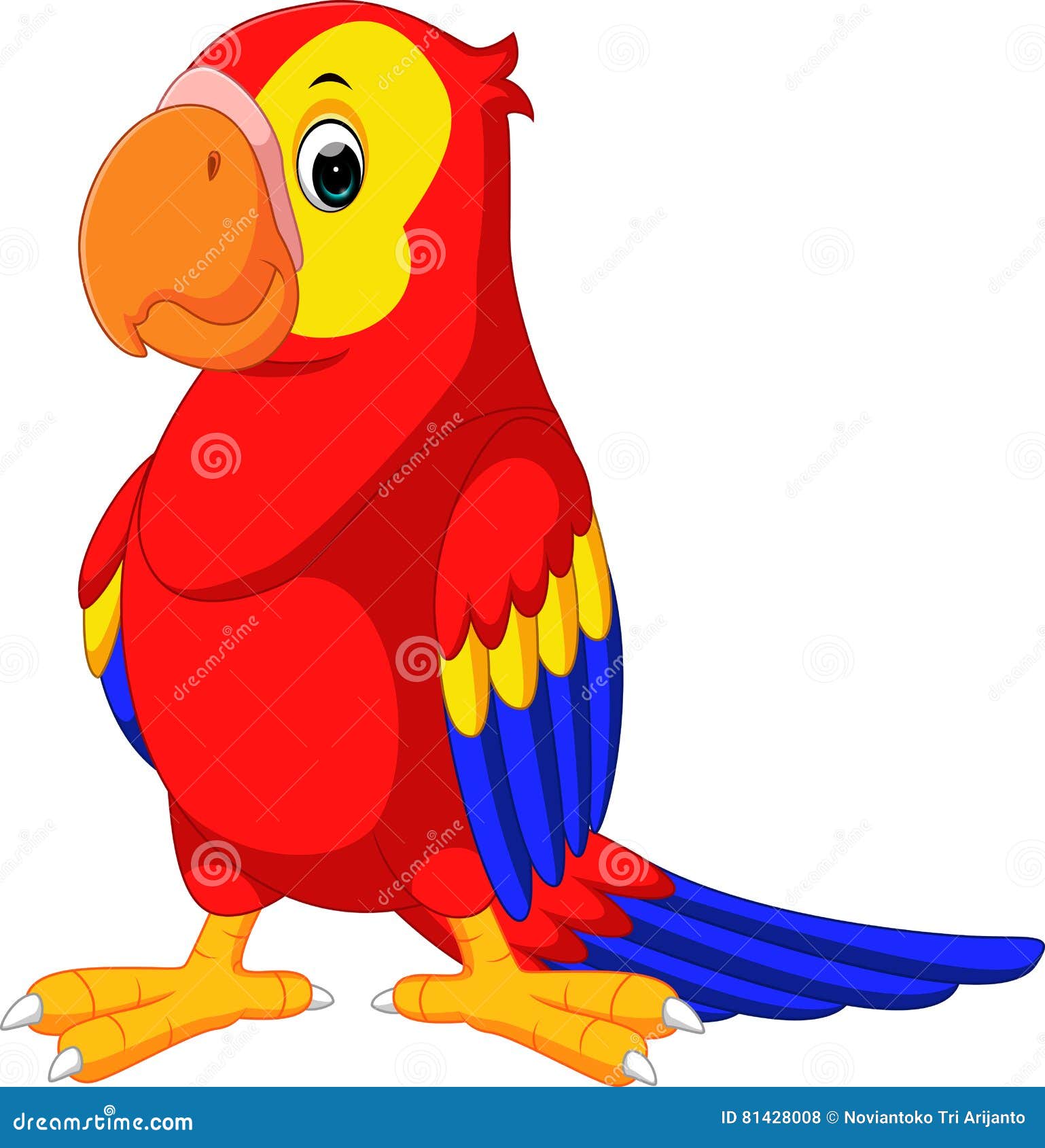 Cute macaw cartoon stock vector. Illustration of character - 81428008
