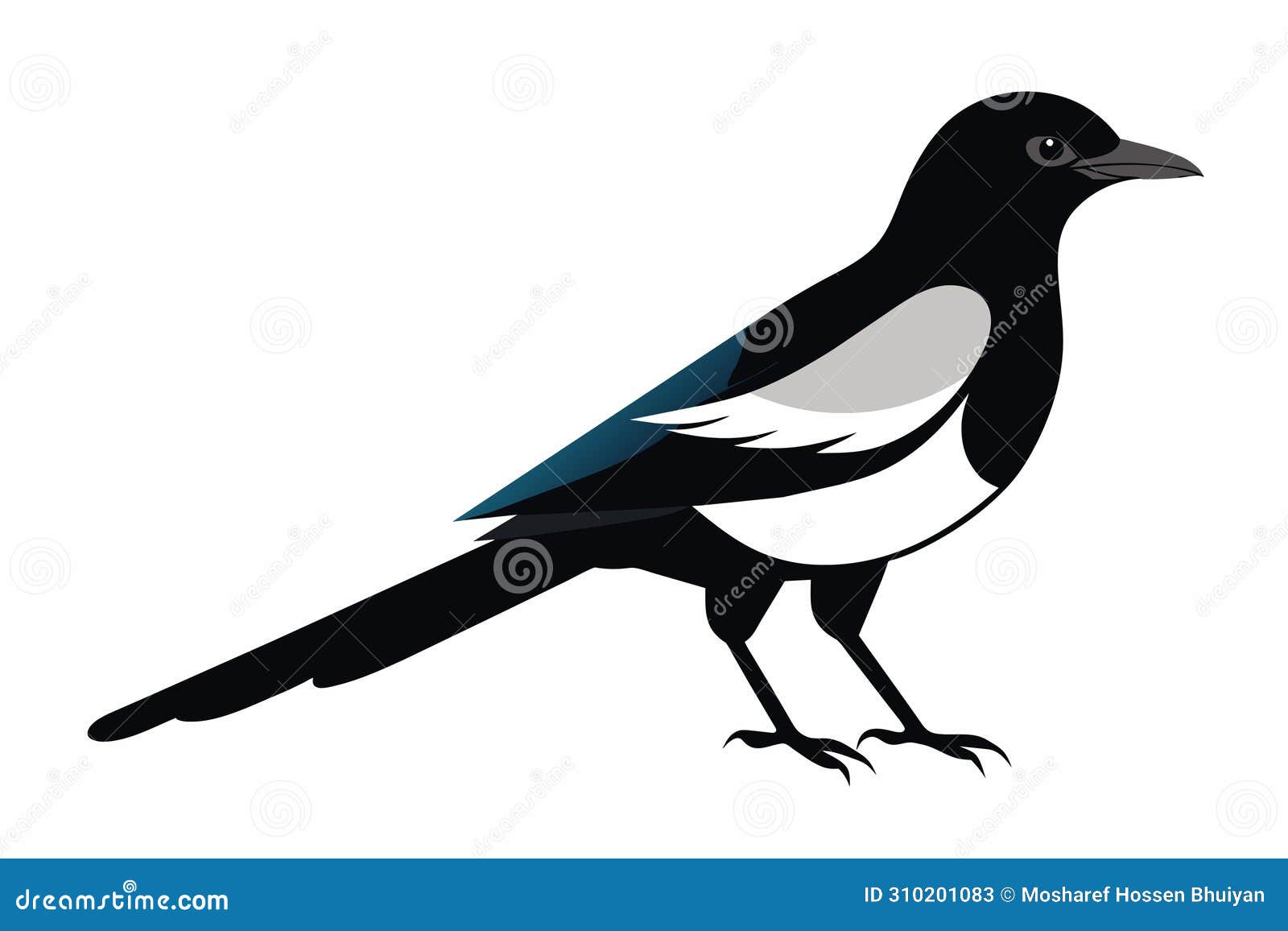 Cute Magpie Vector Art Isolated on a Clean Background Stock ...