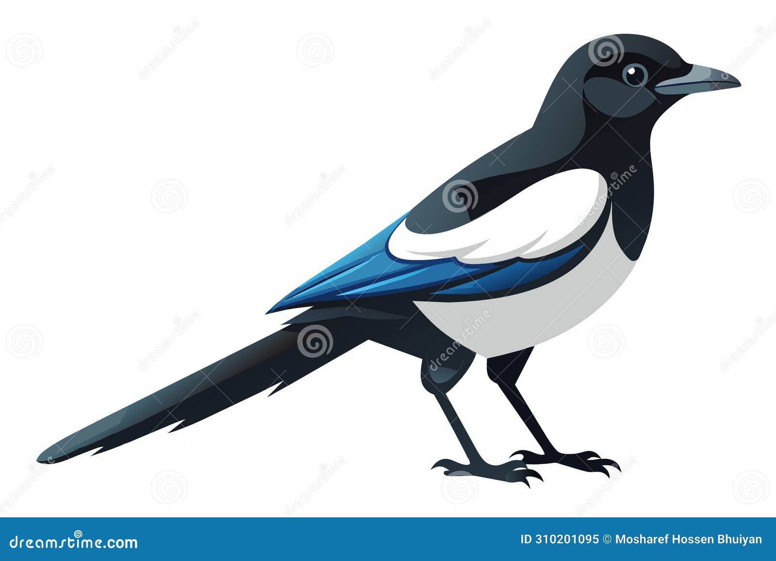Cute Magpie Vector Art Isolated on a Clean Background Stock Vector ...