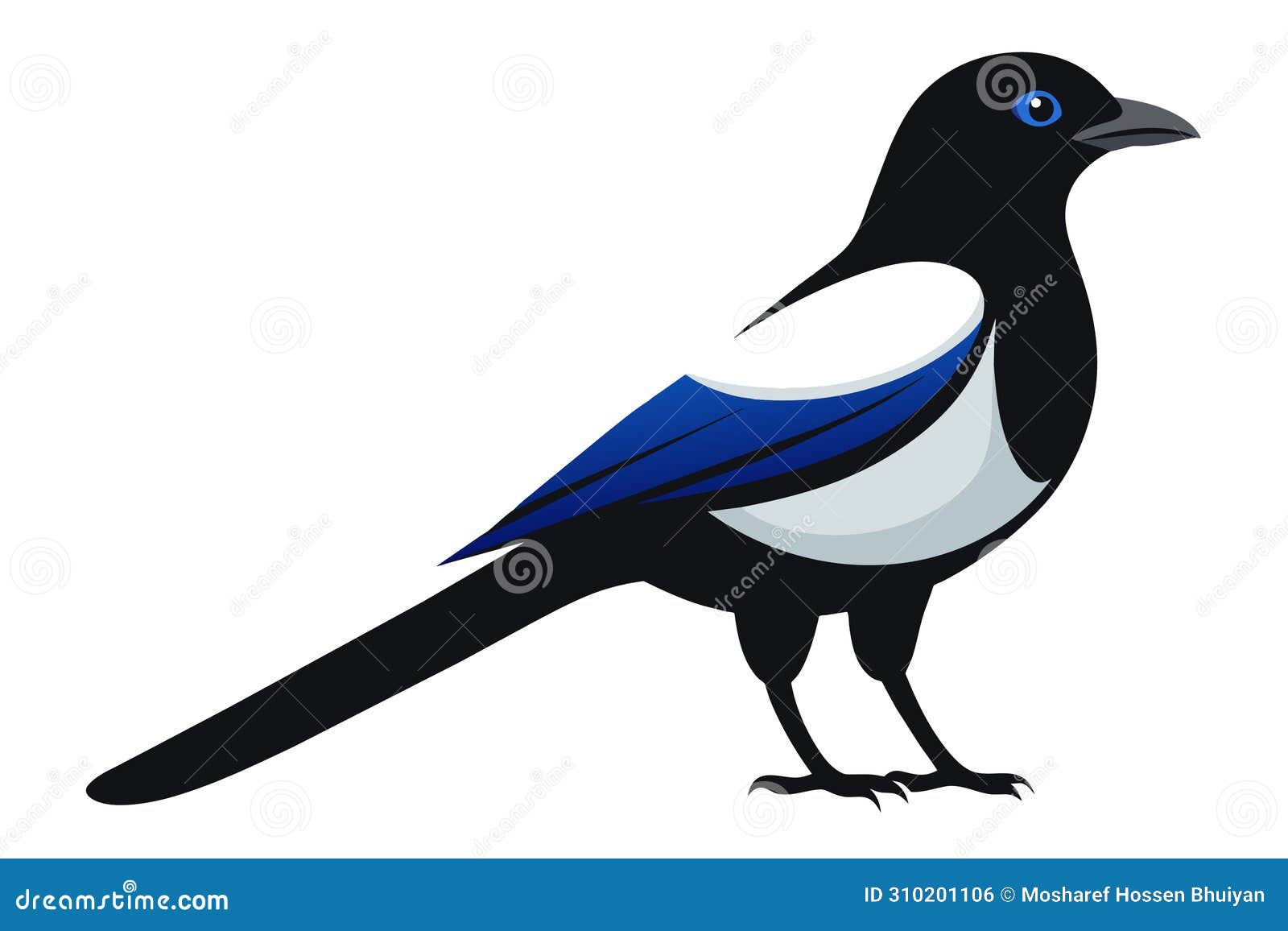 Cute Magpie Vector Art Isolated on a Clean Background Stock Vector ...