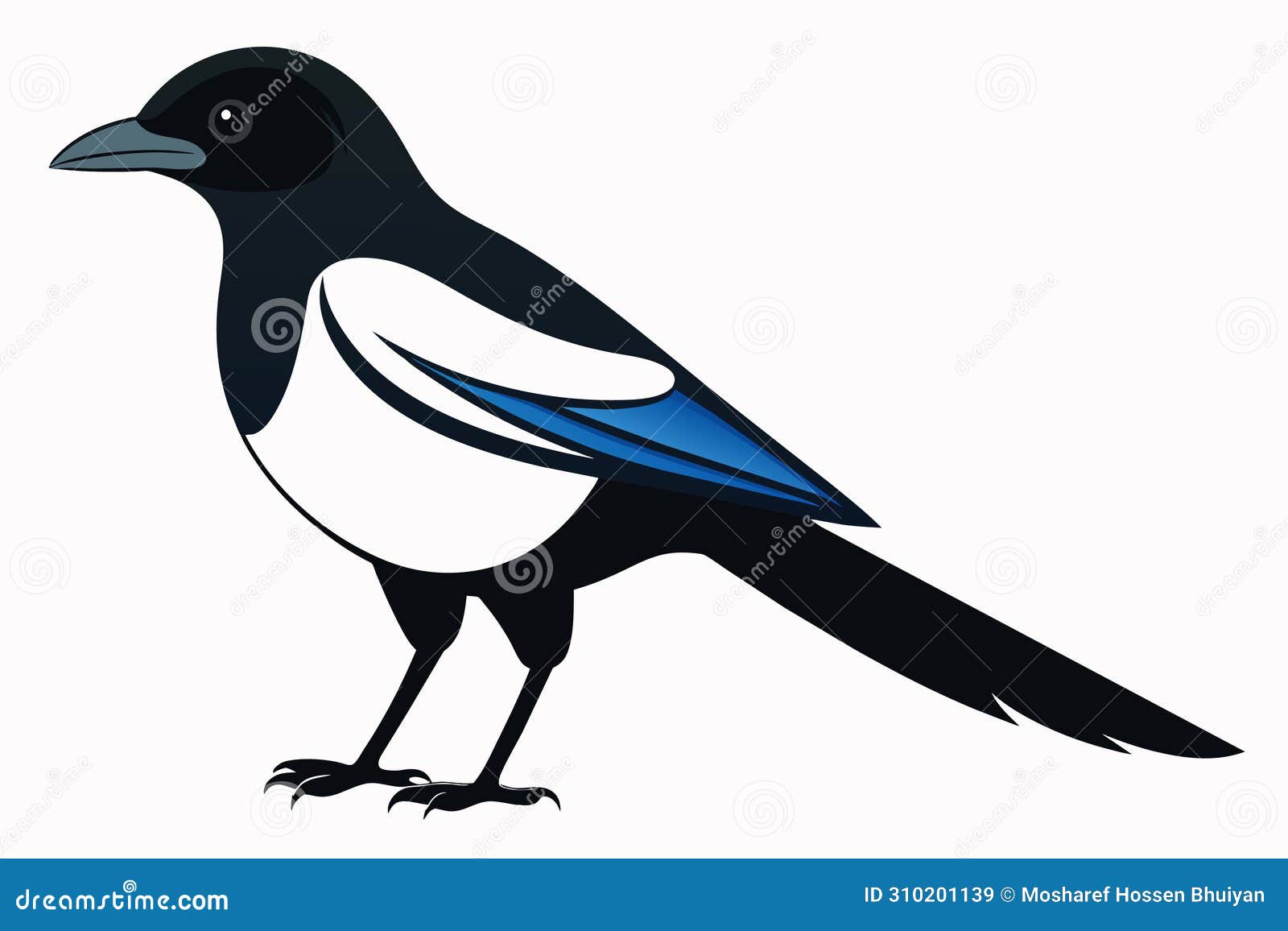 Cute Magpie Vector Art Isolated on a Clean Background Stock Vector ...