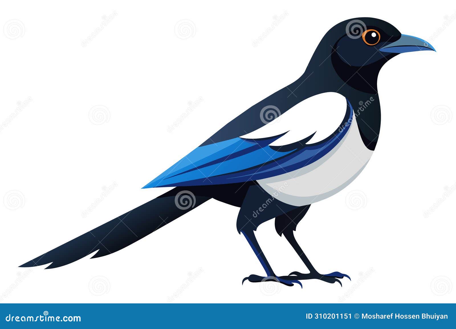 Cute Magpie Vector Art Isolated on a Clean Background Stock ...