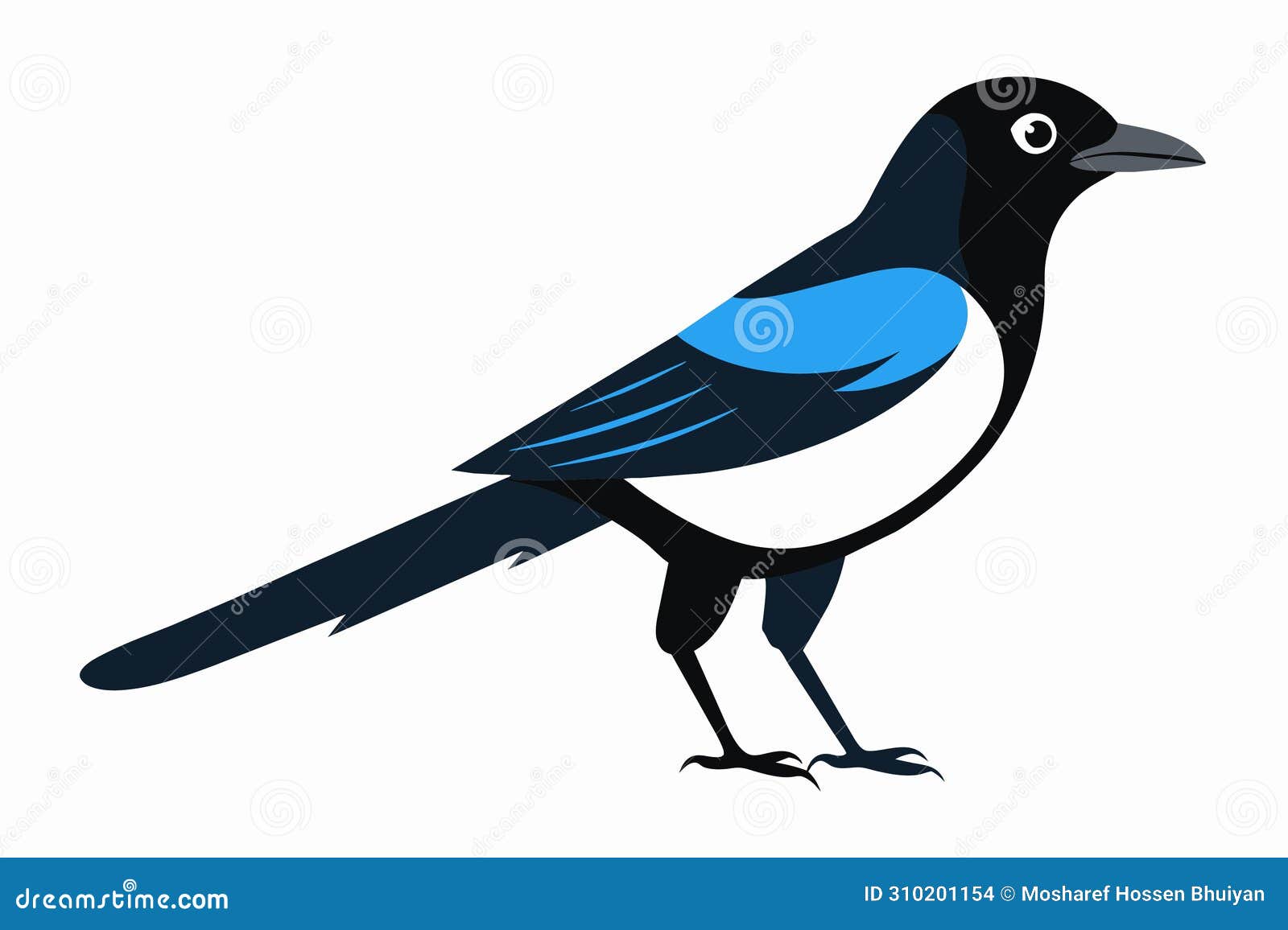 Cute Magpie Vector Art Isolated on a Clean Background Stock ...