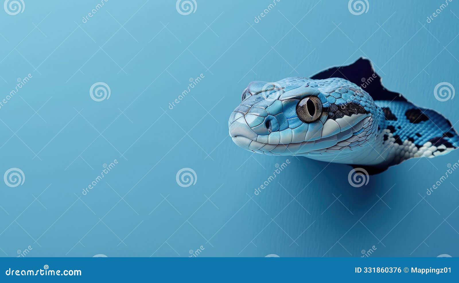 Cute Mamba Peeking through a Hole Stock Illustration - Illustration of ...