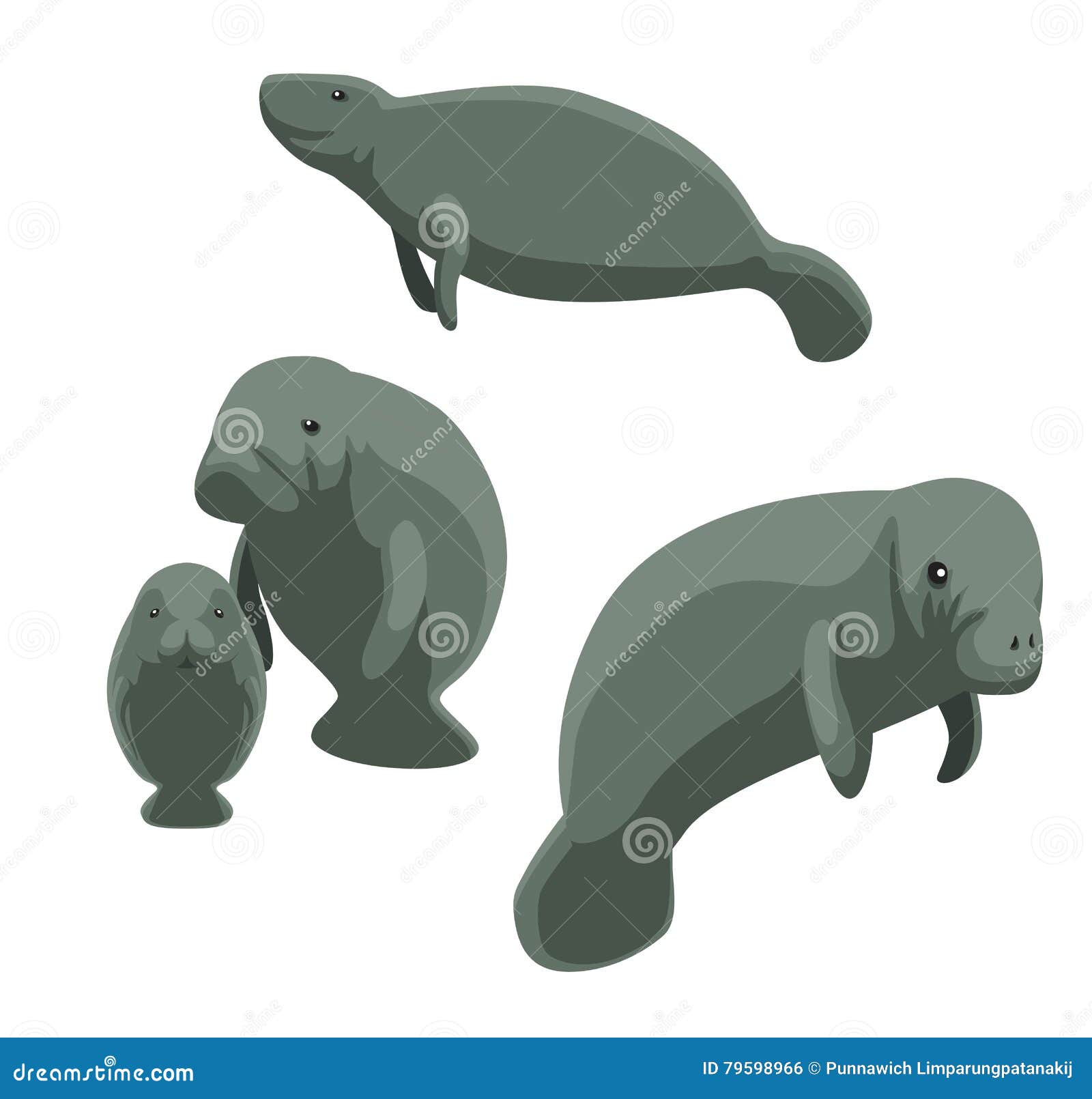 Cute Manatee Cartoon Character. Dugong , Seacow Isolated On Blue Sea ...