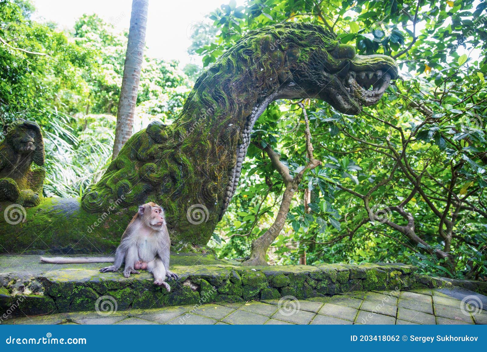 Cute Monkey Sitting Near the Dragon and Monkey Statue Stock Photo ...
