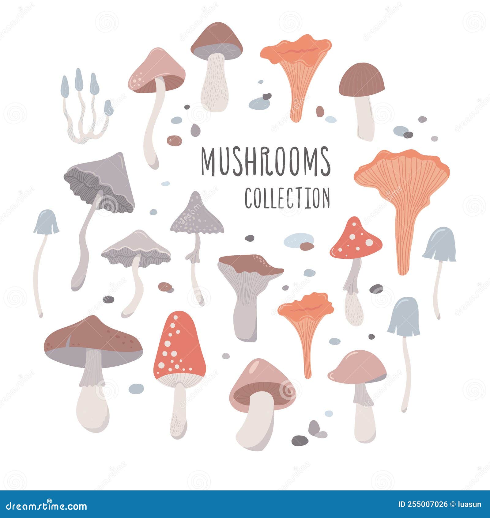 Cute Mushrooms with Fly Agaric and Boletus. Sticker Set Stock Vector ...