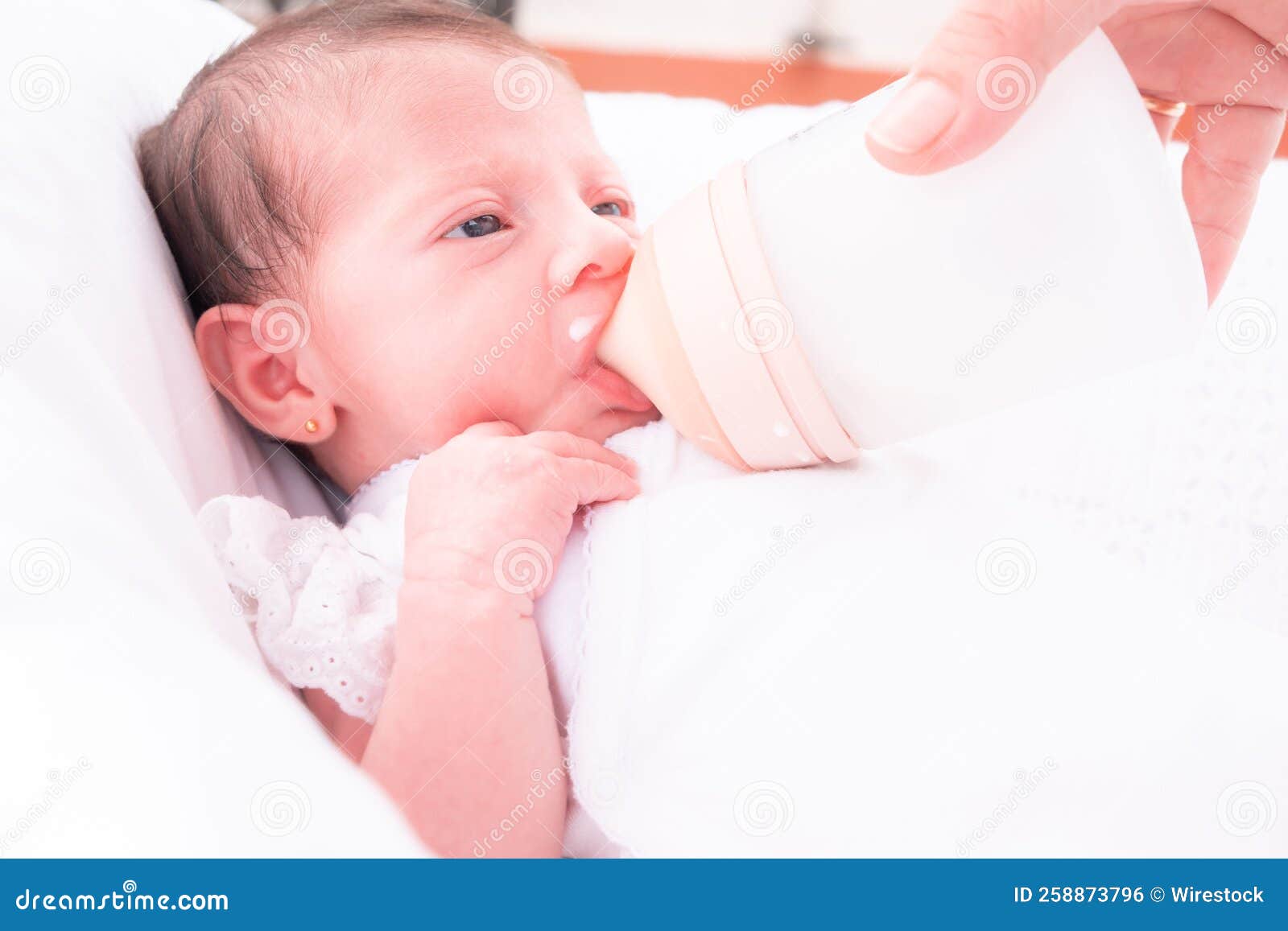 Cute New Born Baby Eats Milk from a Bottle Stock Photo - Image of baby ...