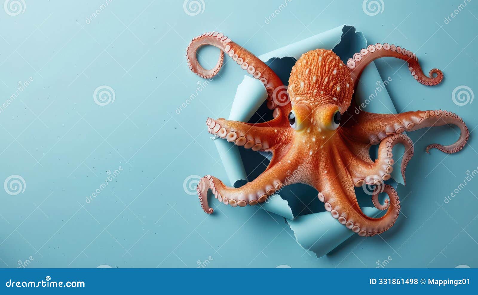 Cute Octopus Peeking through a Hole Stock Illustration - Illustration ...