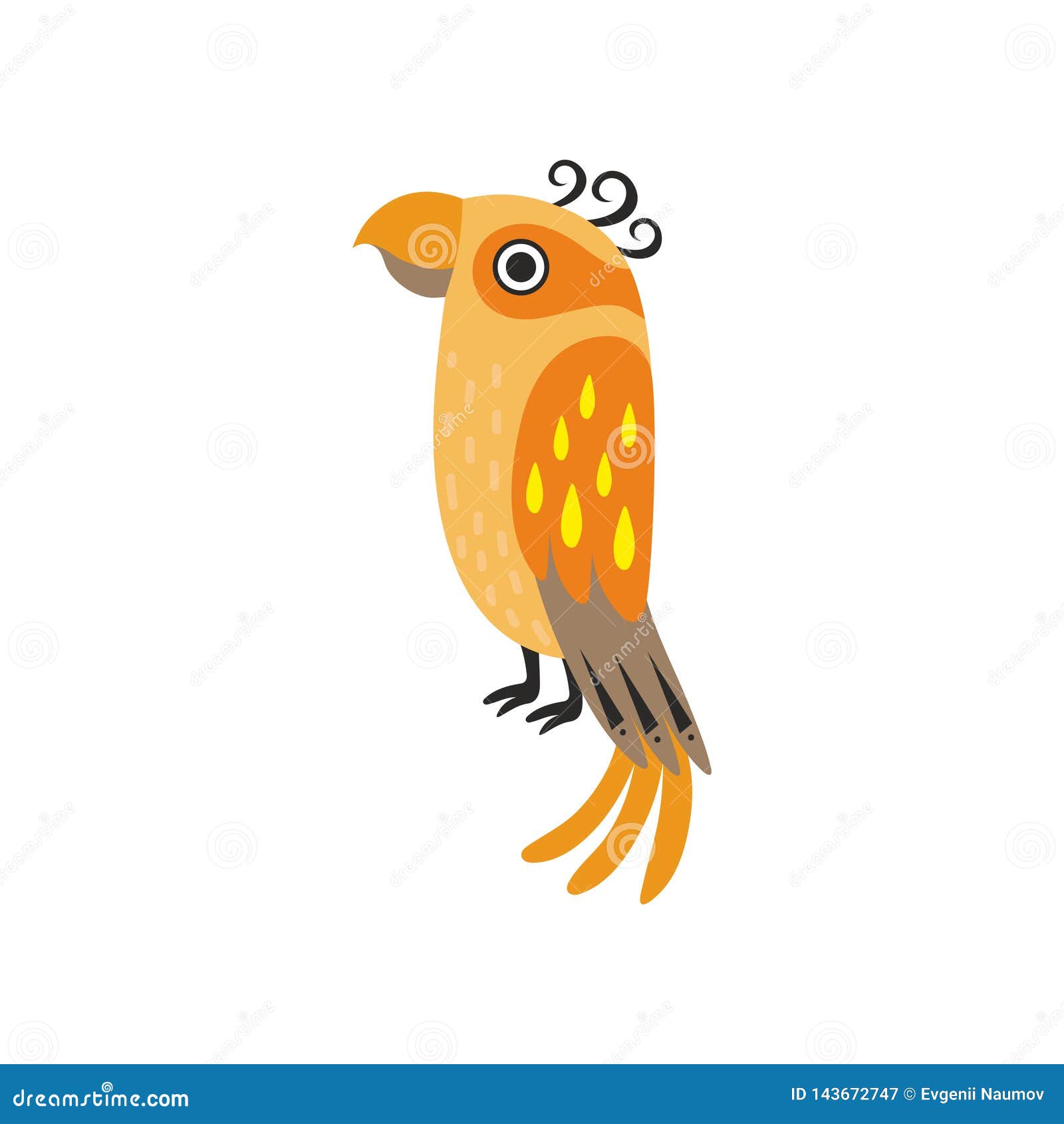 Cute Orange Tropical Parrot Bird Vector Illustration Stock Vector ...