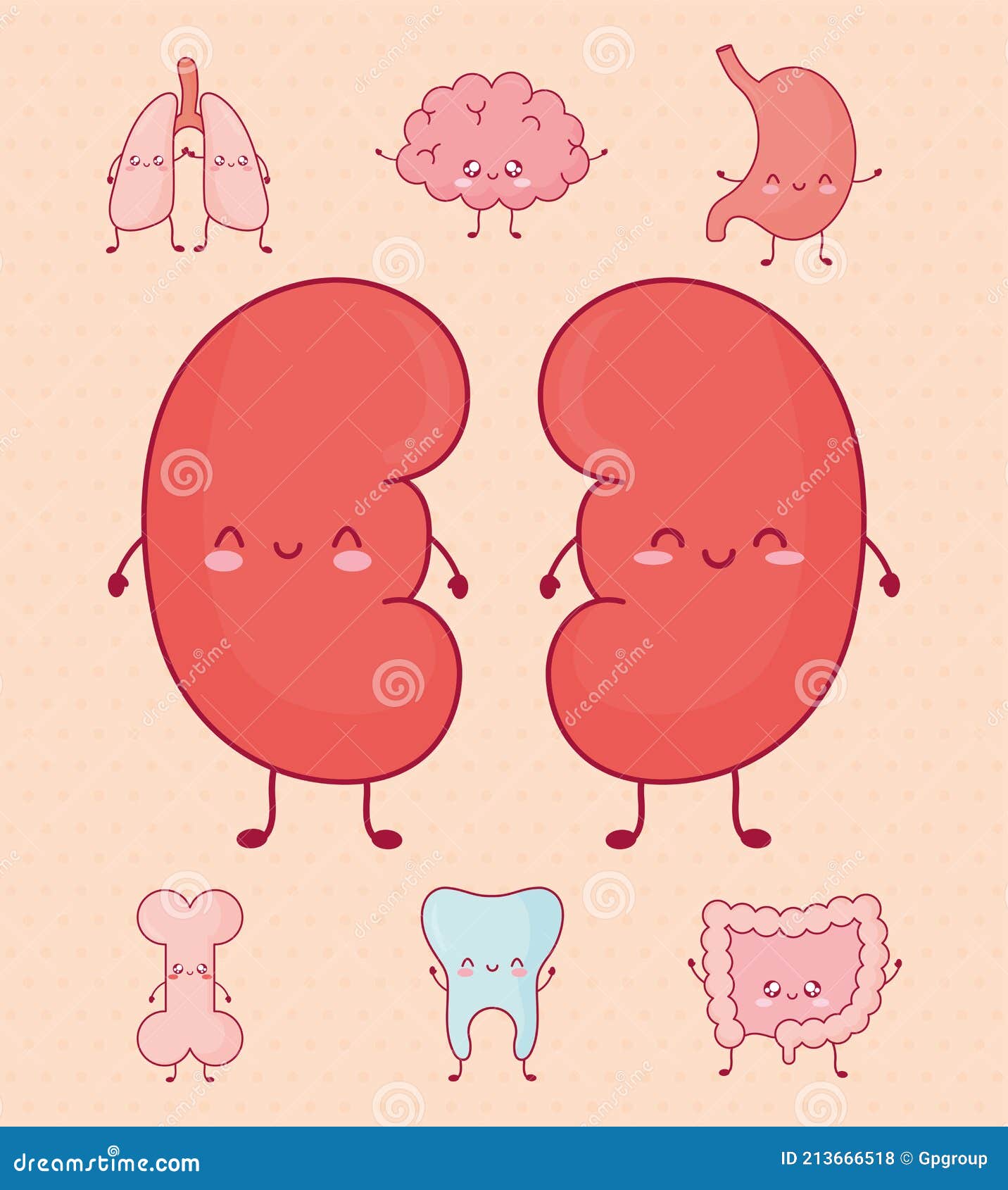 Cute organs bundle stock vector. Illustration of health - 213666518