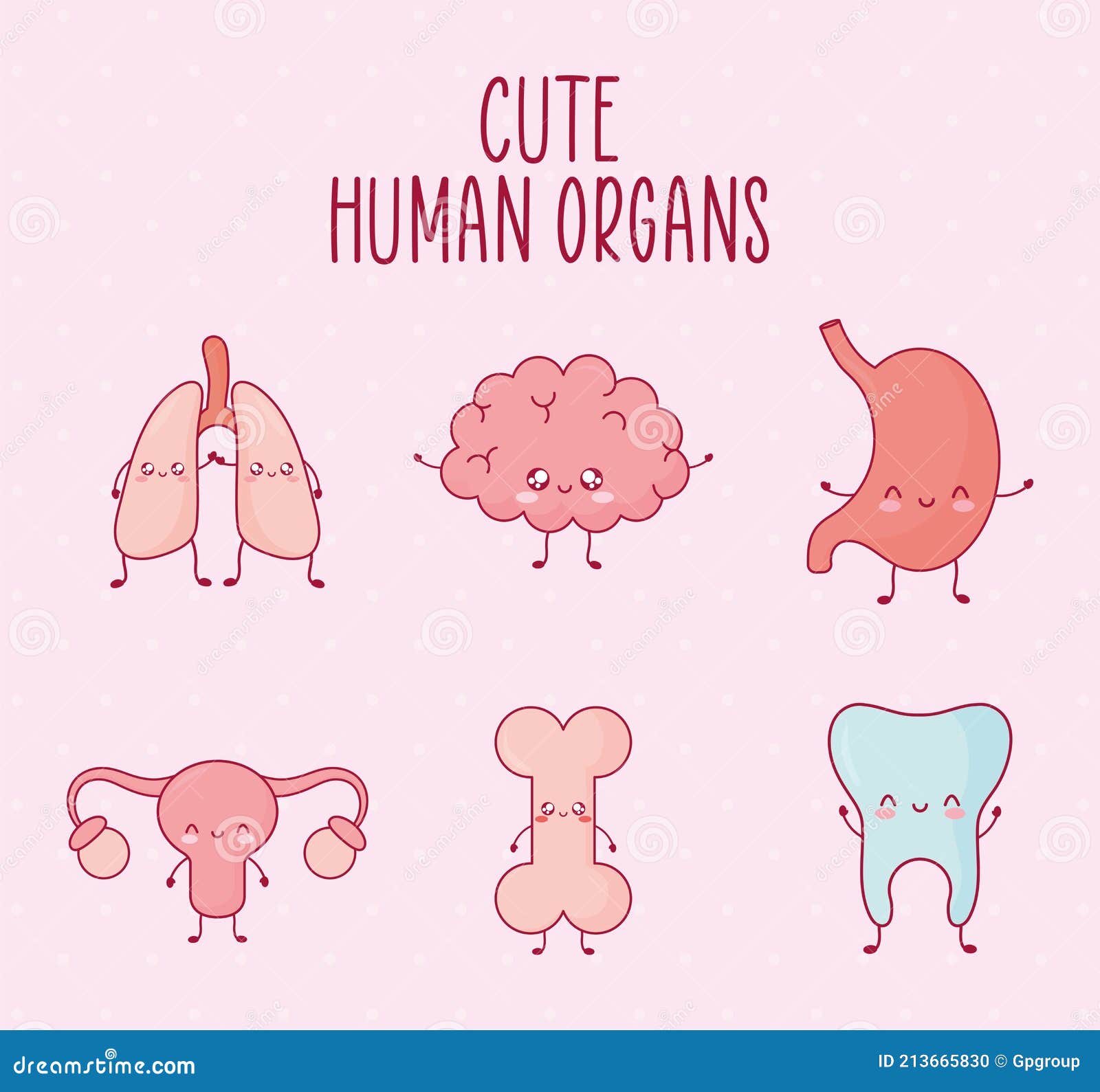 Cute Organs Cartoon Vector | CartoonDealer.com #59780219 Cute Organs Cartoon Vector | CartoonDealer.com #59780219