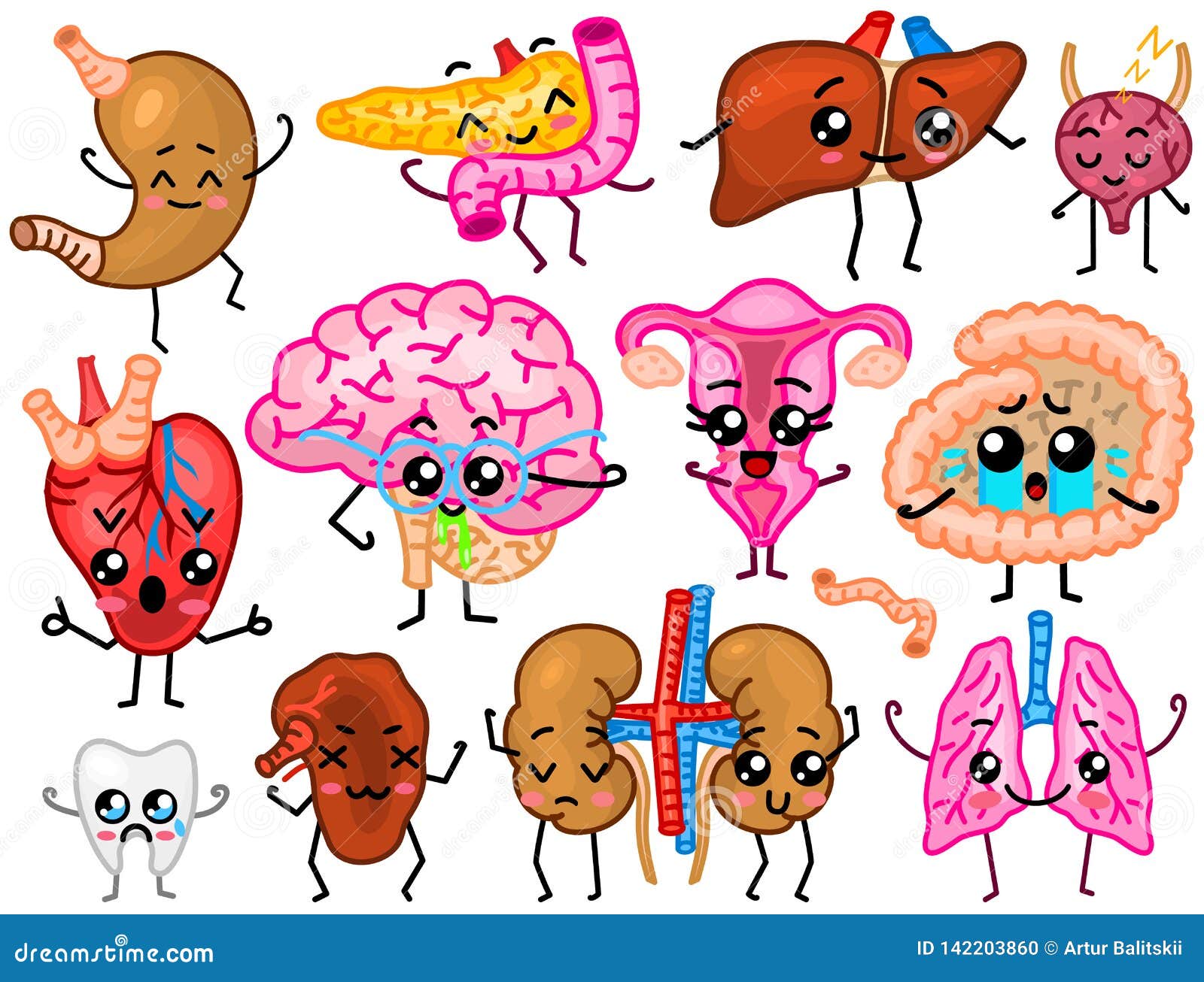 Cute Organs Cartoon Vector | CartoonDealer.com #59780219 Cute Organs Cartoon Vector | CartoonDealer.com #59780219