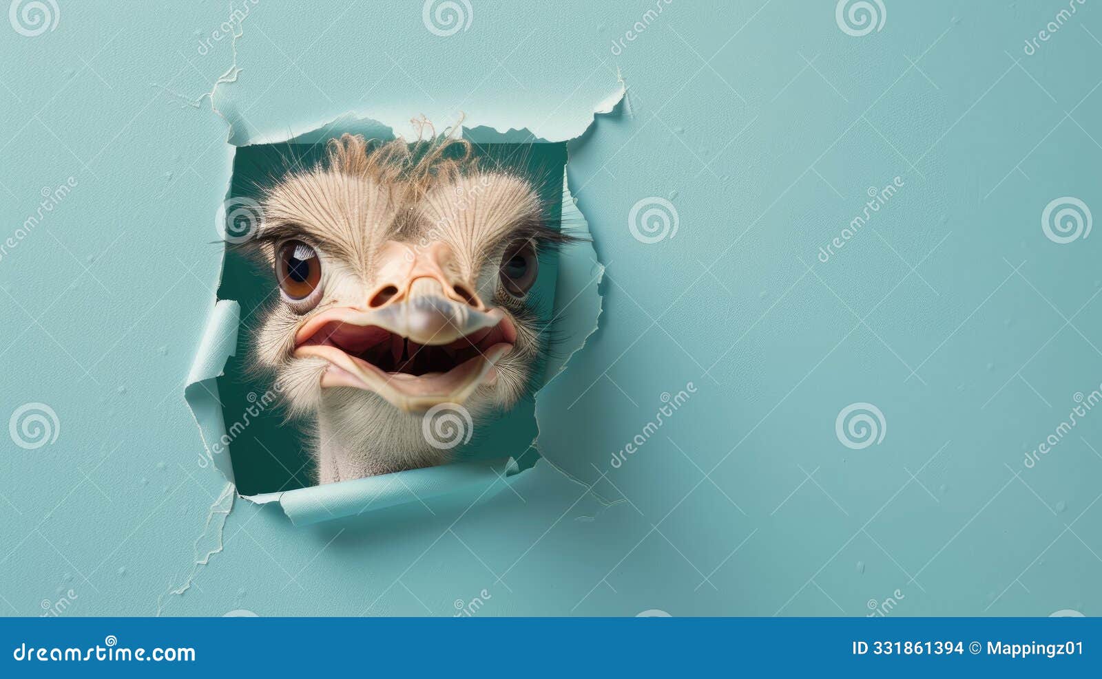 Cute Ostrich Peeking through a Hole Stock Illustration - Illustration ...