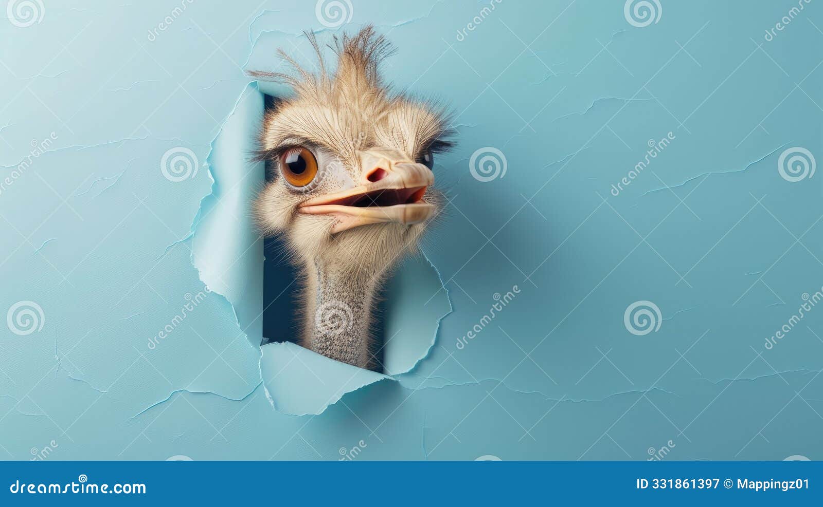 Cute Ostrich Peeking through a Hole Stock Illustration - Illustration ...