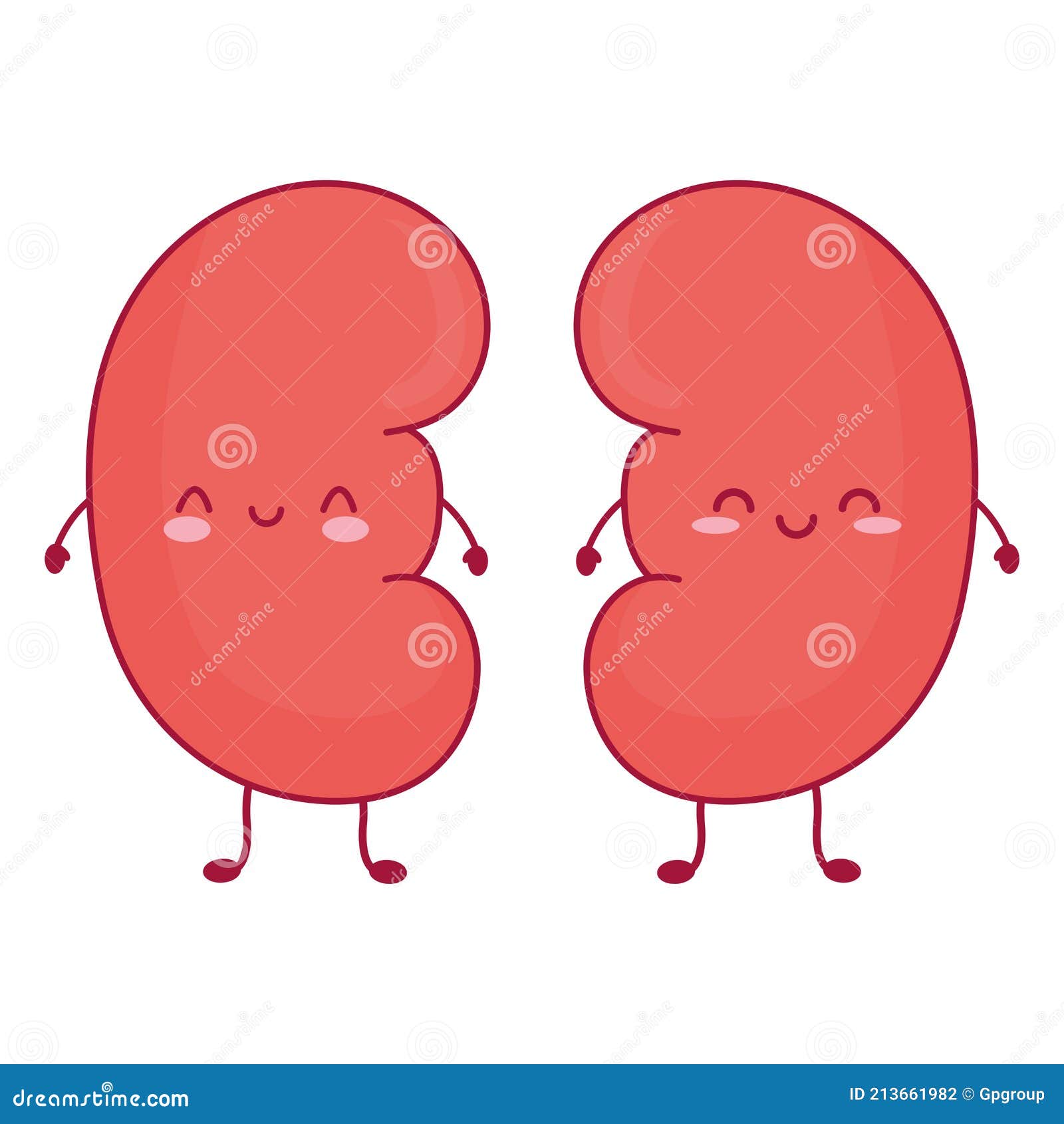 Cute kidneys icons stock vector. Illustration of health - 213661982