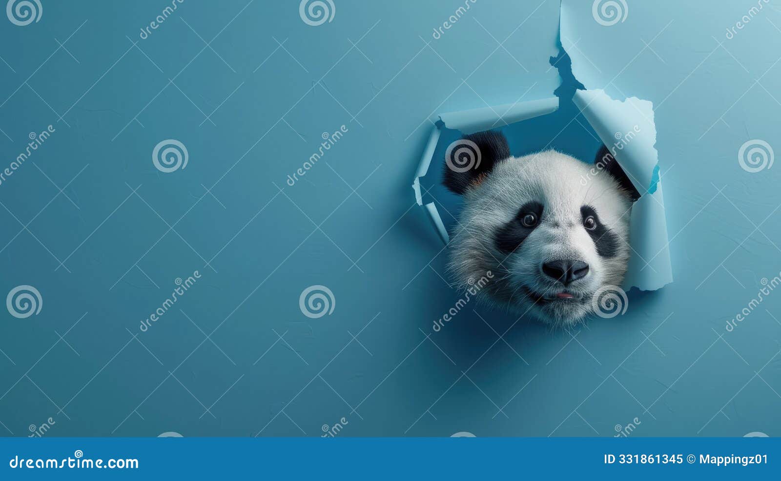 Cute Panda Peeking through a Hole Stock Illustration - Illustration of ...