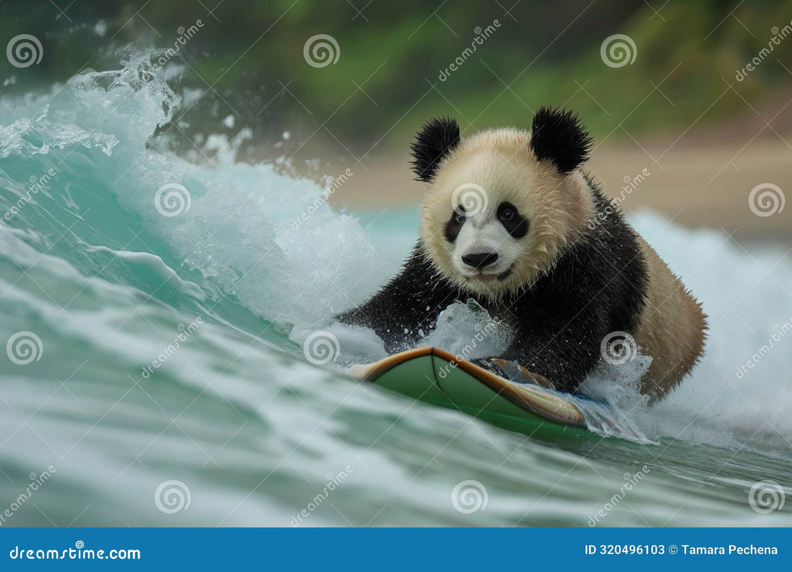 Cute Funny Panda Surfing a Wave in the Ocean. the Image is Generated ...