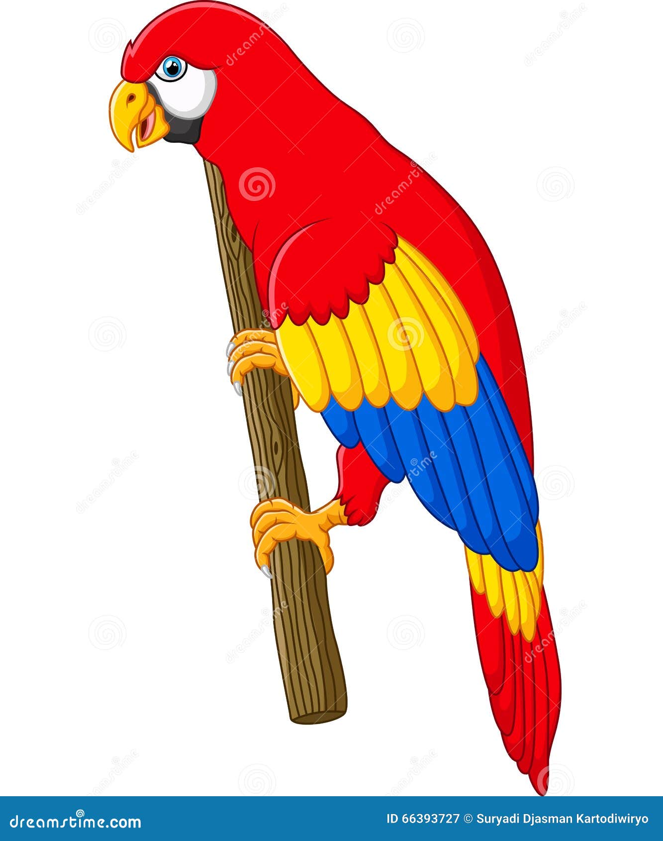 Kea Parrot In Cartoon Style On White Background. Nestor Notabilis ...