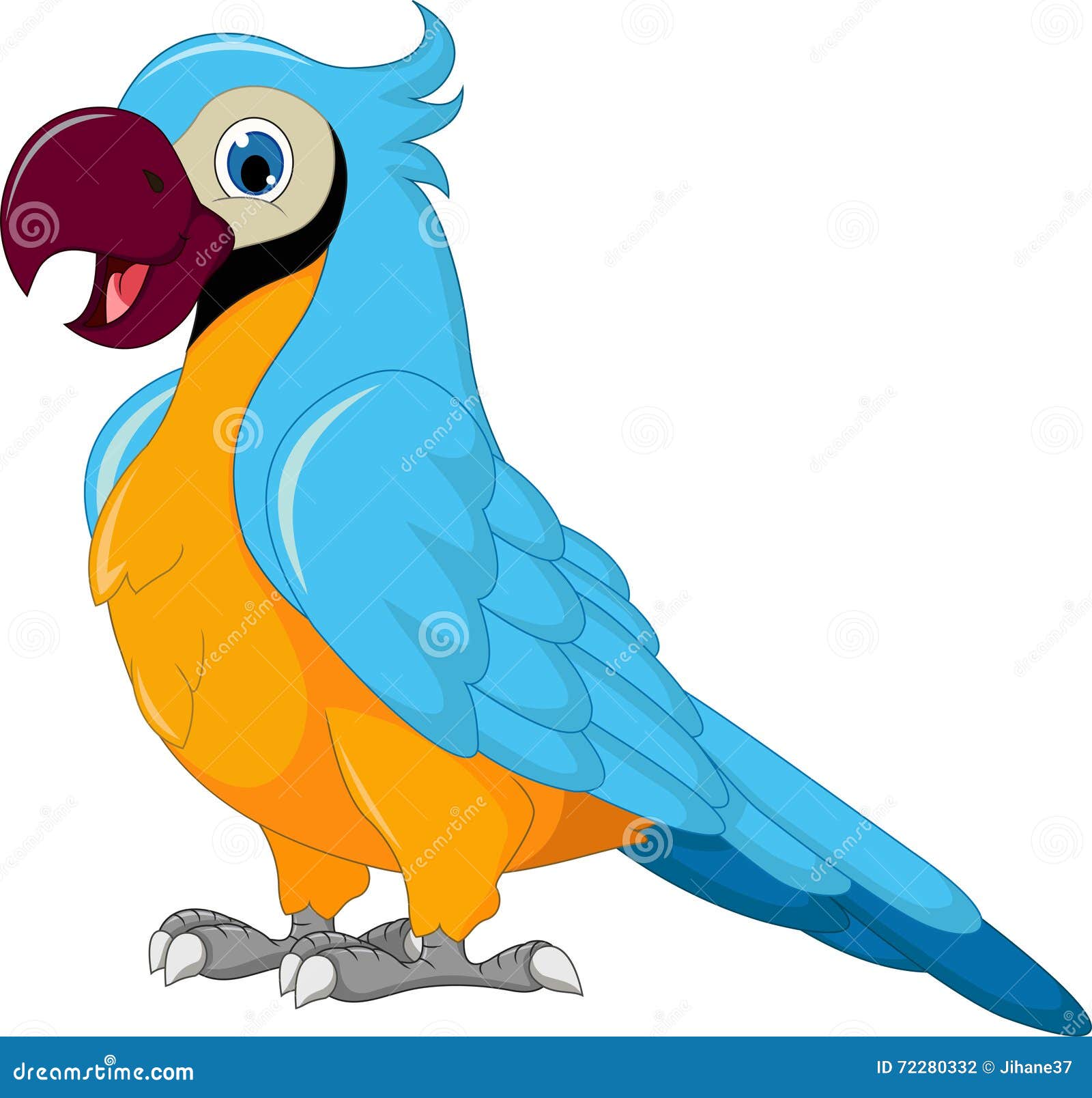 Kea Parrot In Cartoon Style On White Background. Nestor Notabilis ...