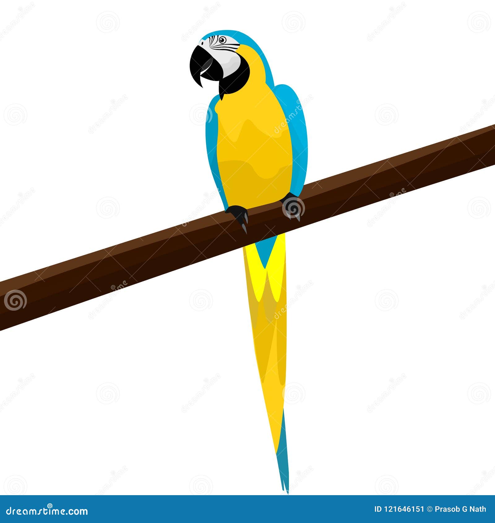 A Cute Parrot Sitting on a Branch of a Tree Vector Illustration Stock ...